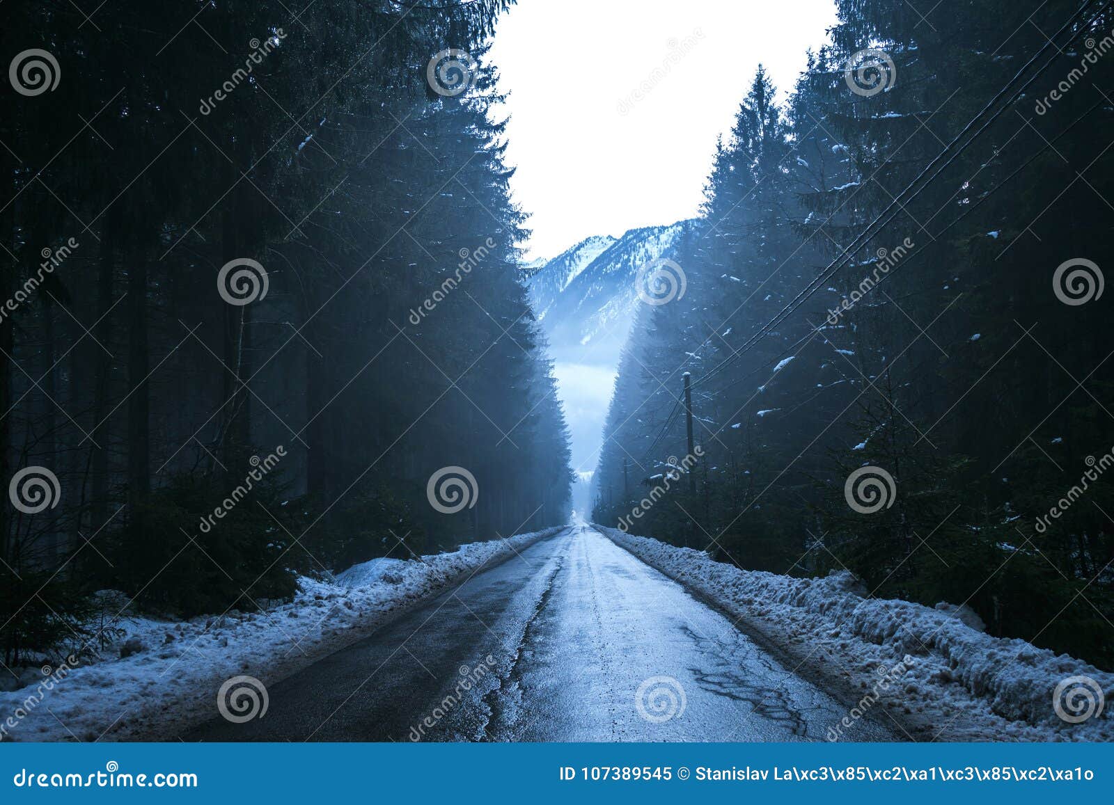 De Winterweg Tussen Donker En Eng Bos Stock Afbeelding - Image of bomen ...