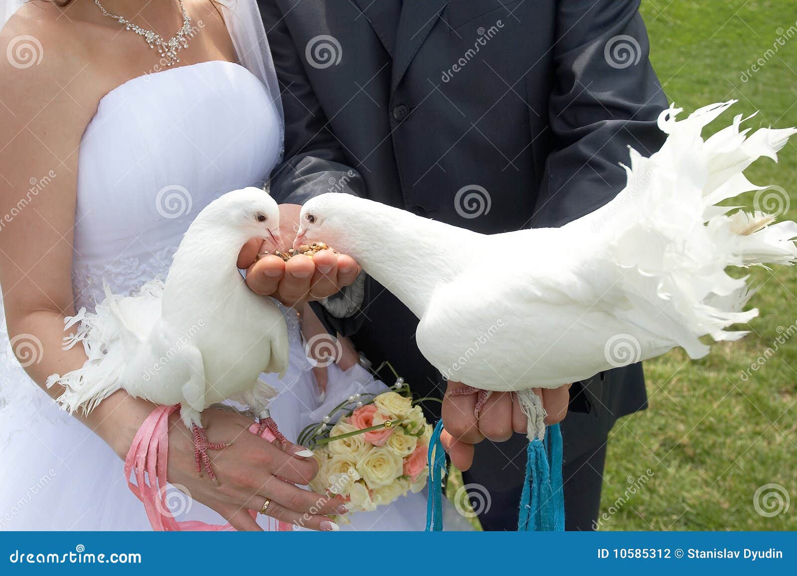 De Witte Duiven Van Het Huwelijk Stock Foto - Image of liefde, duif ...