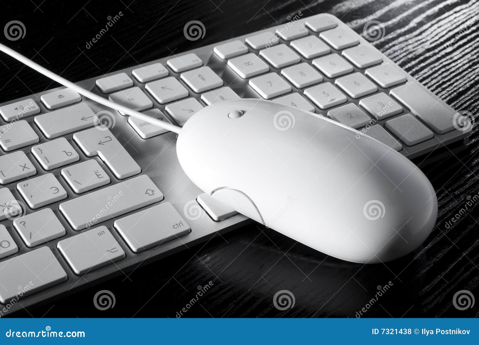 De Witte Muis En Het Toetsenbord Stock Foto - Image of muis, metaal ...