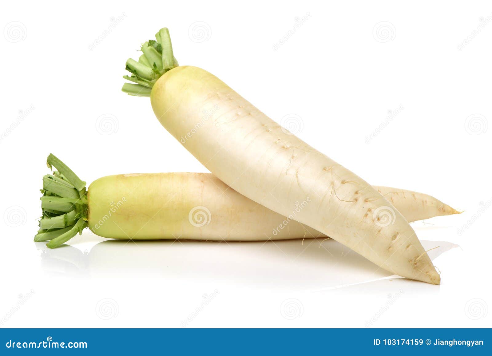 De Witte Radijs van Daikon stock afbeelding. Image of geïsoleerd ...