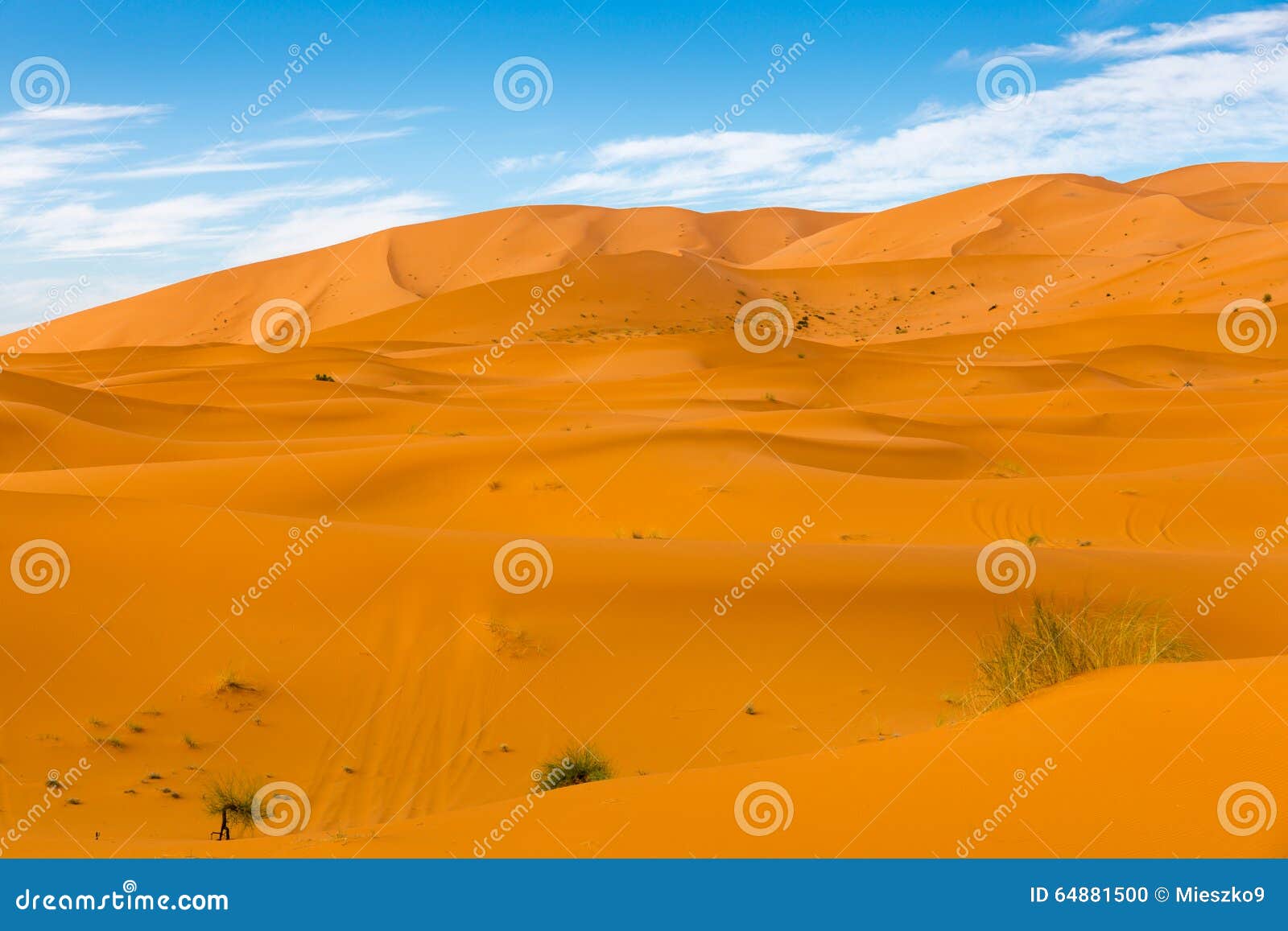 De Woestijn Van De Sahara, Marokko Stock Foto - Image of duin, afrika ...
