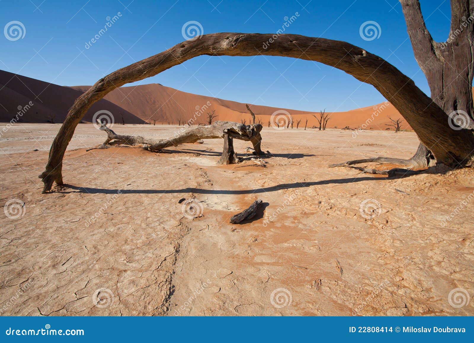 De woestijn van Namib stock foto. Image of tochtig, avontuur - 22808414