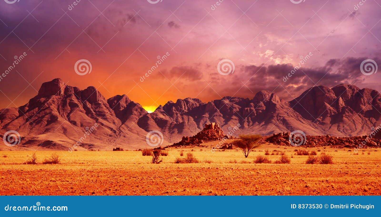 De Woestijn van Namib stock foto. Image of zand, uitbarsting - 8373530