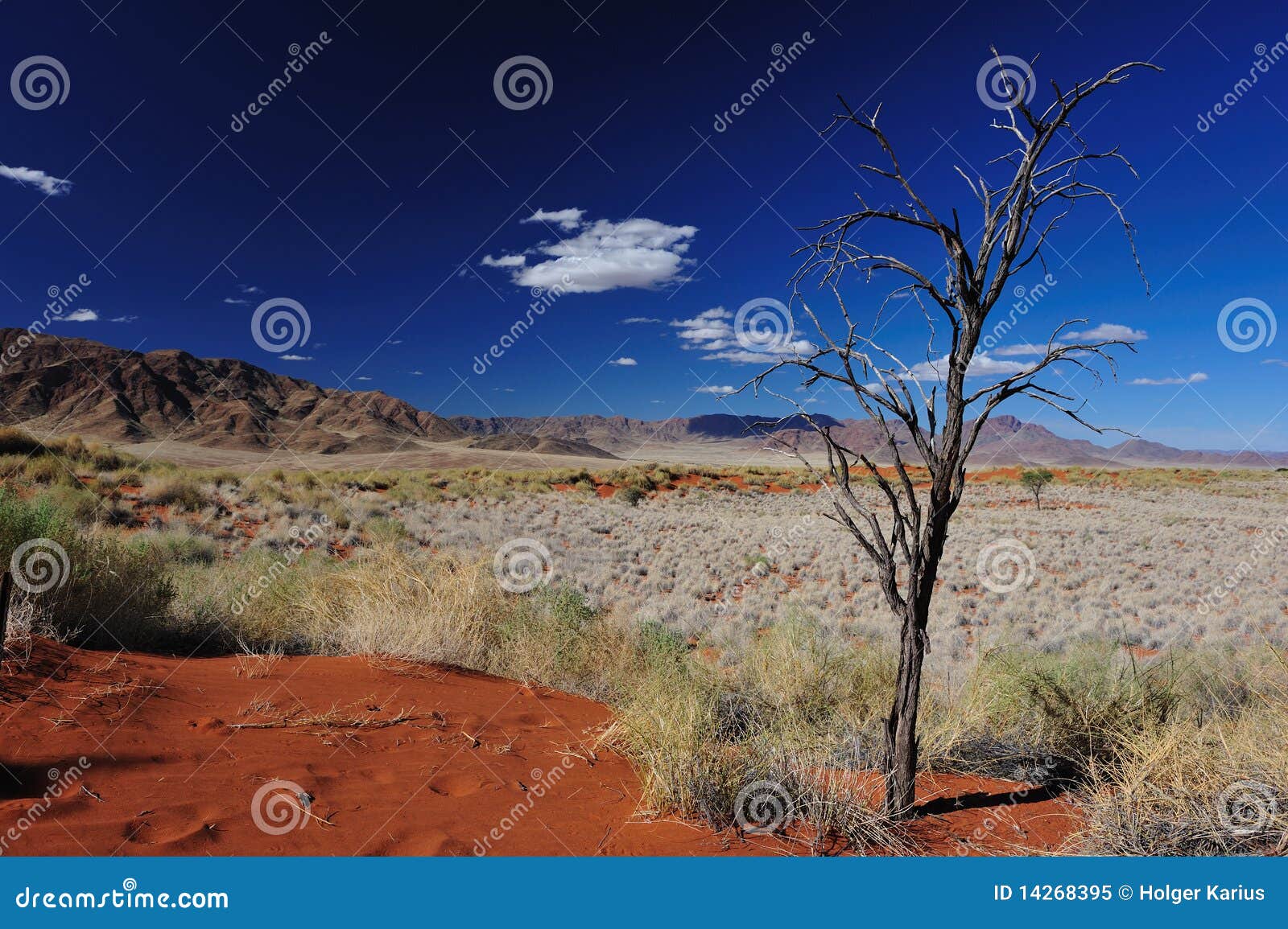 De Woestijn Van Namib (Namibië) Stock Afbeelding - Image of milieu ...