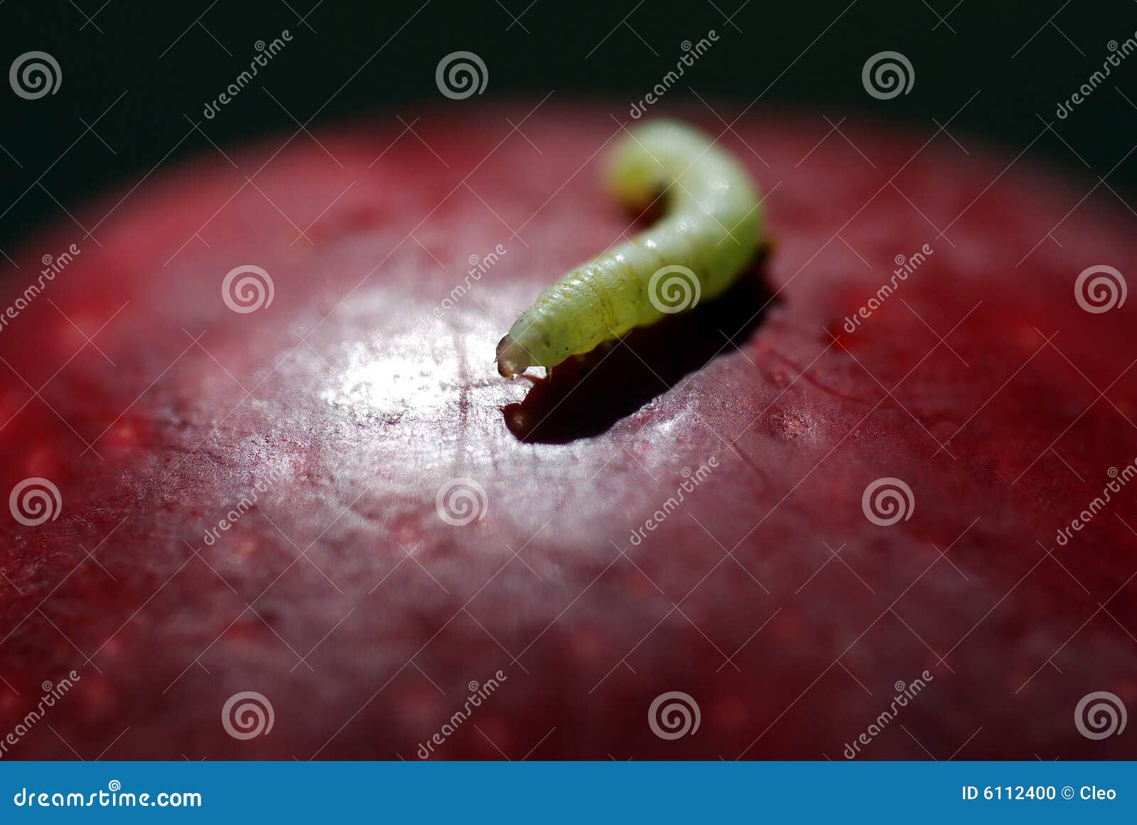 Apple-Worm Picture. Image: 6112400