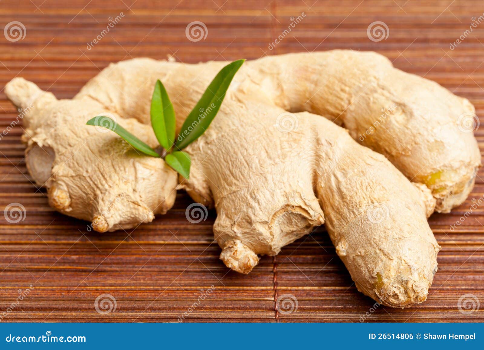 De wortel van de gember stock foto. Image of wortel, bamboe - 26514806