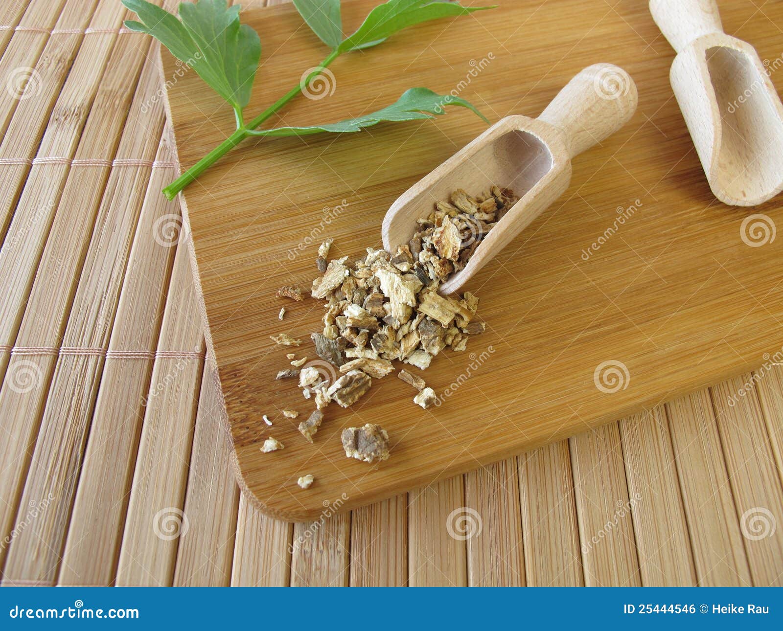 De Wortels Van De Lavas, Wortel Levistici Stock Foto - Image of ...