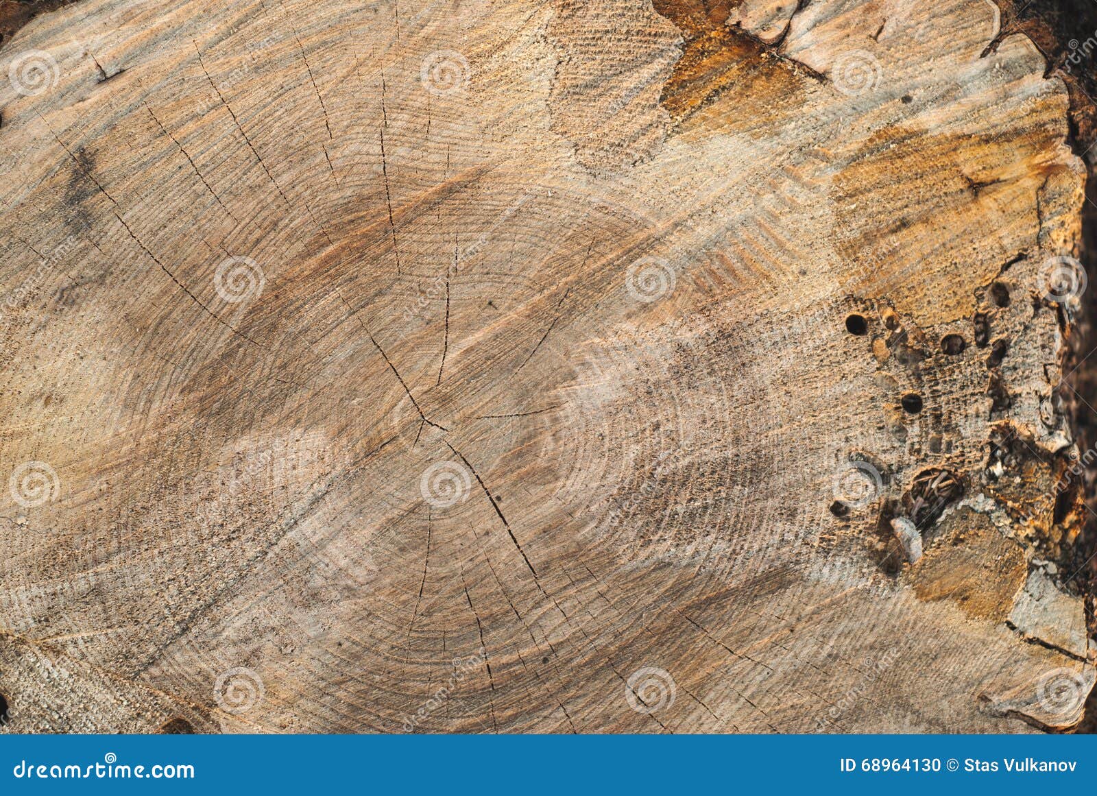De Zaag Sneed Het Hout, Textuur Van Oud Hout Stock Foto - Image of ...