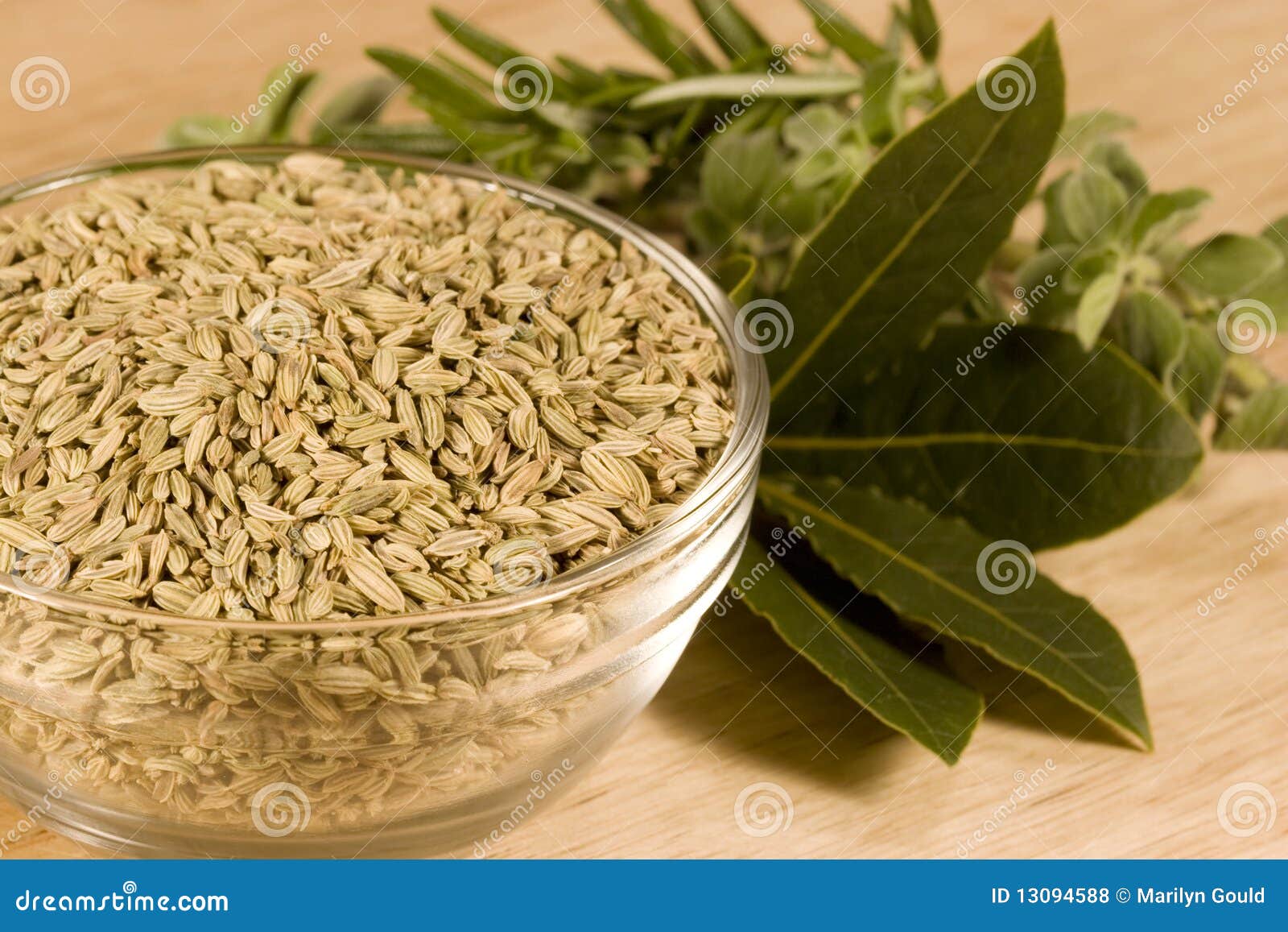 De Zaden van de venkel stock foto. Image of marilyn, ingrediënt - 13094588