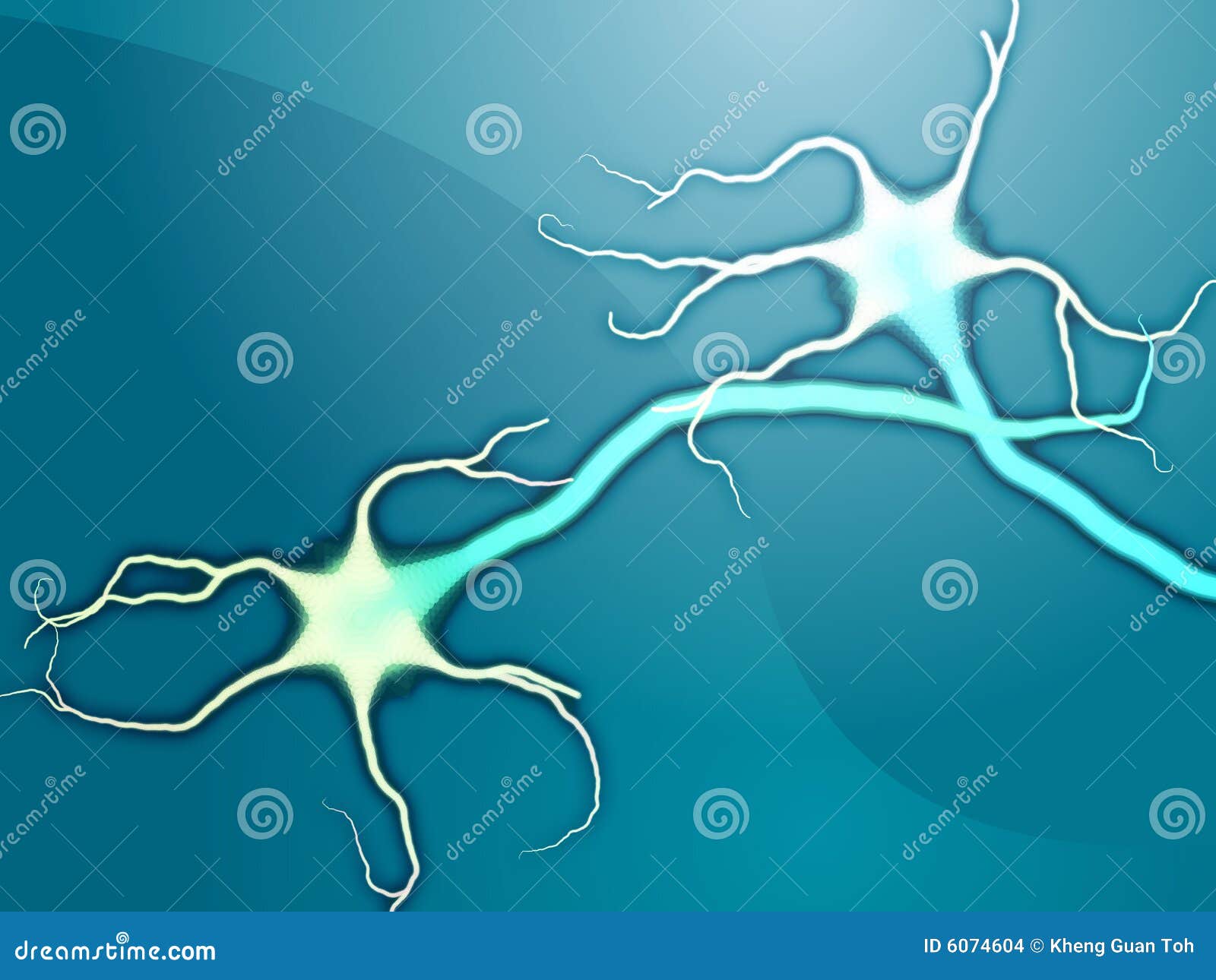 De Zenuwcellen Van Het Neuron Stock Illustratie - Illustration of ...