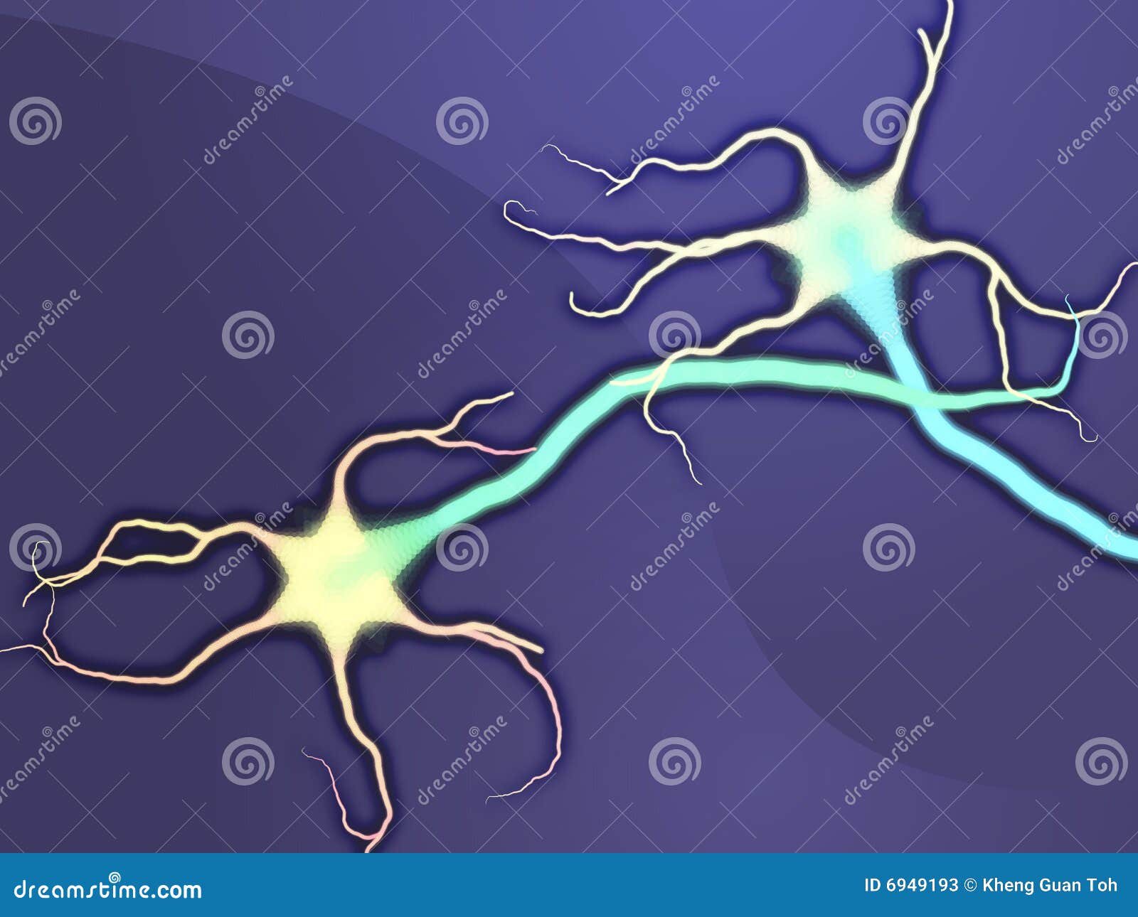 De Zenuwcellen Van Het Neuron Stock Illustratie - Illustration of ...