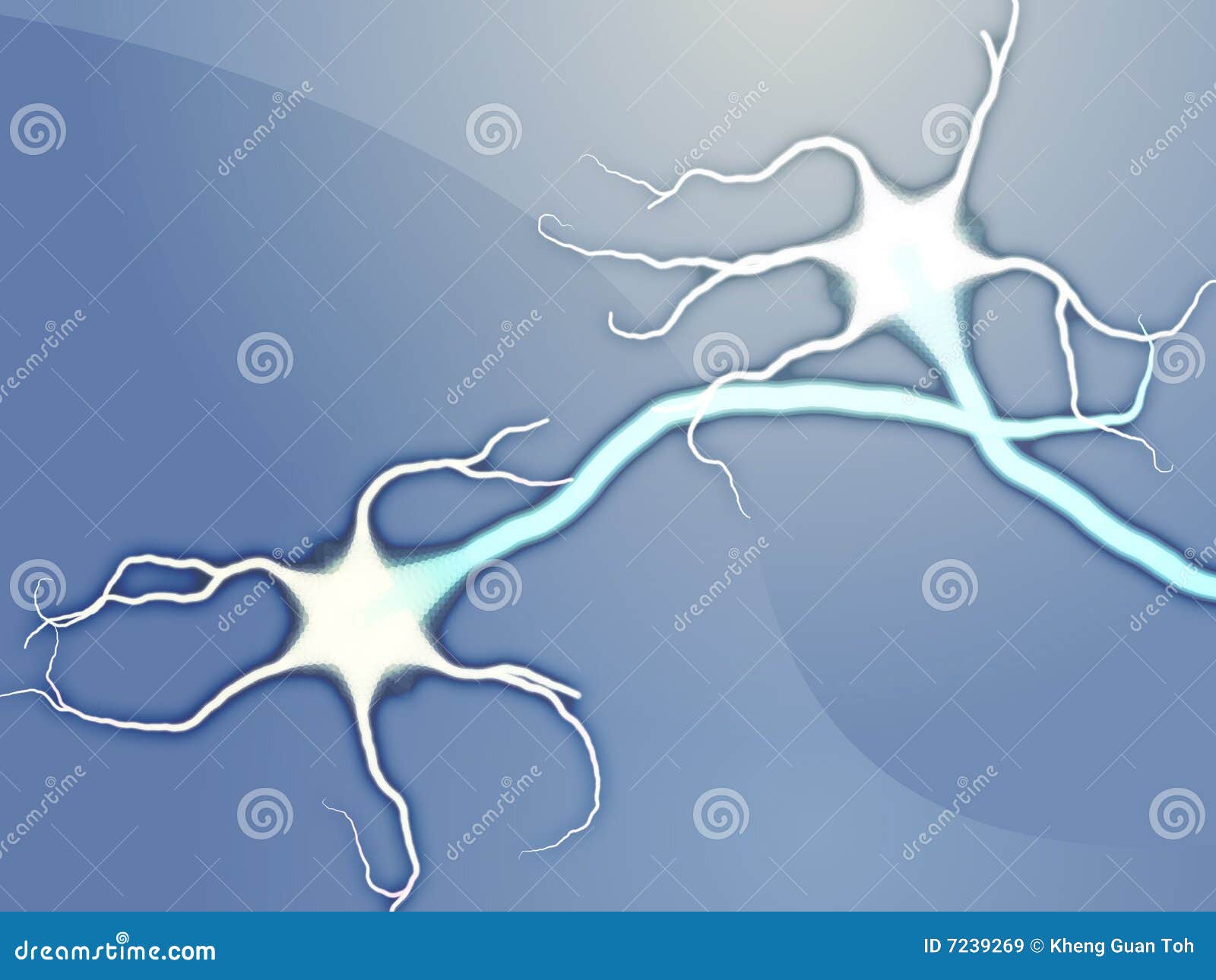 De Zenuwcellen Van Het Neuron Stock Illustratie - Illustration of behang, biologie: 7239269