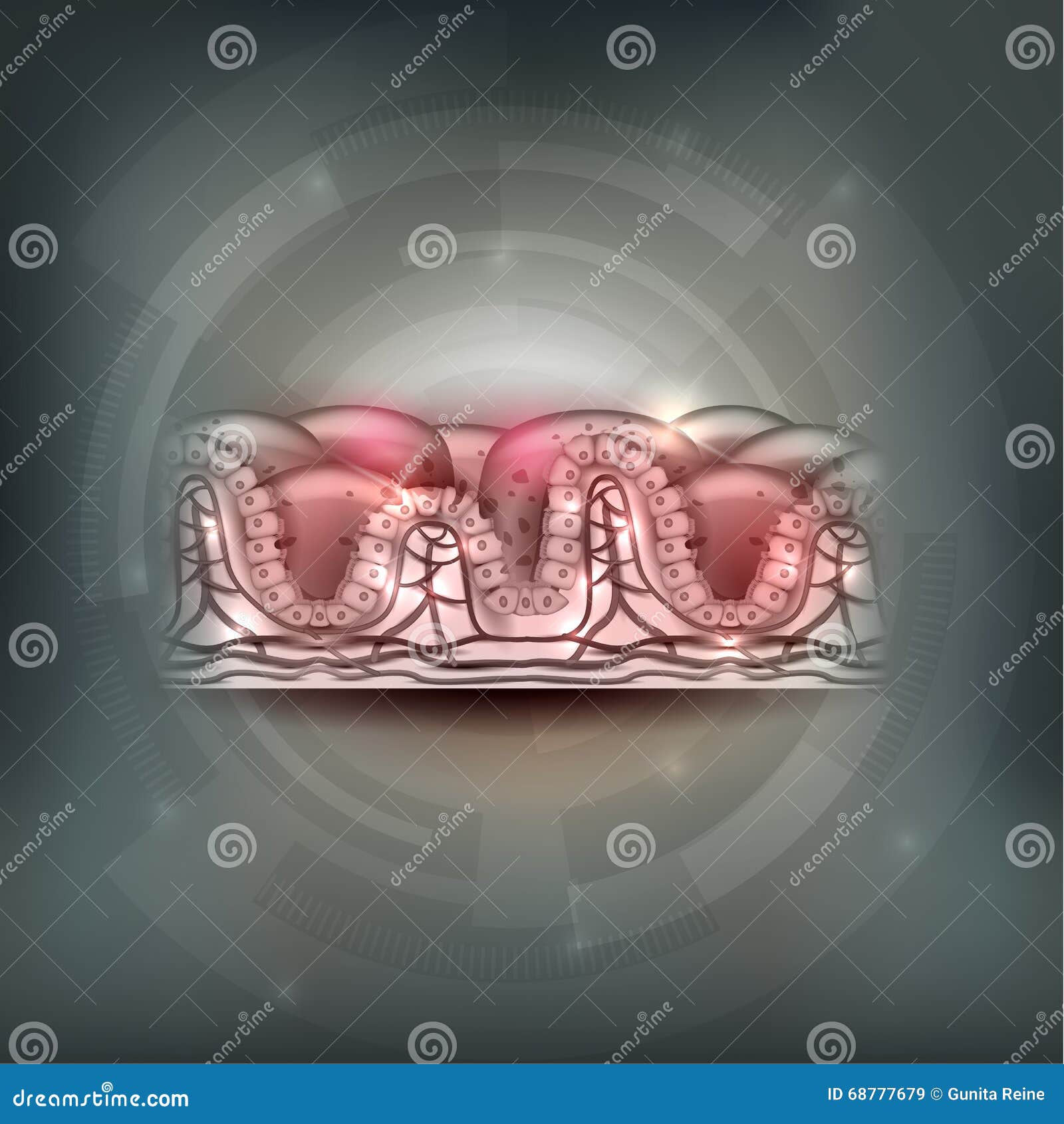 De Ziekte van de buikholte vector illustratie. Illustration of ...