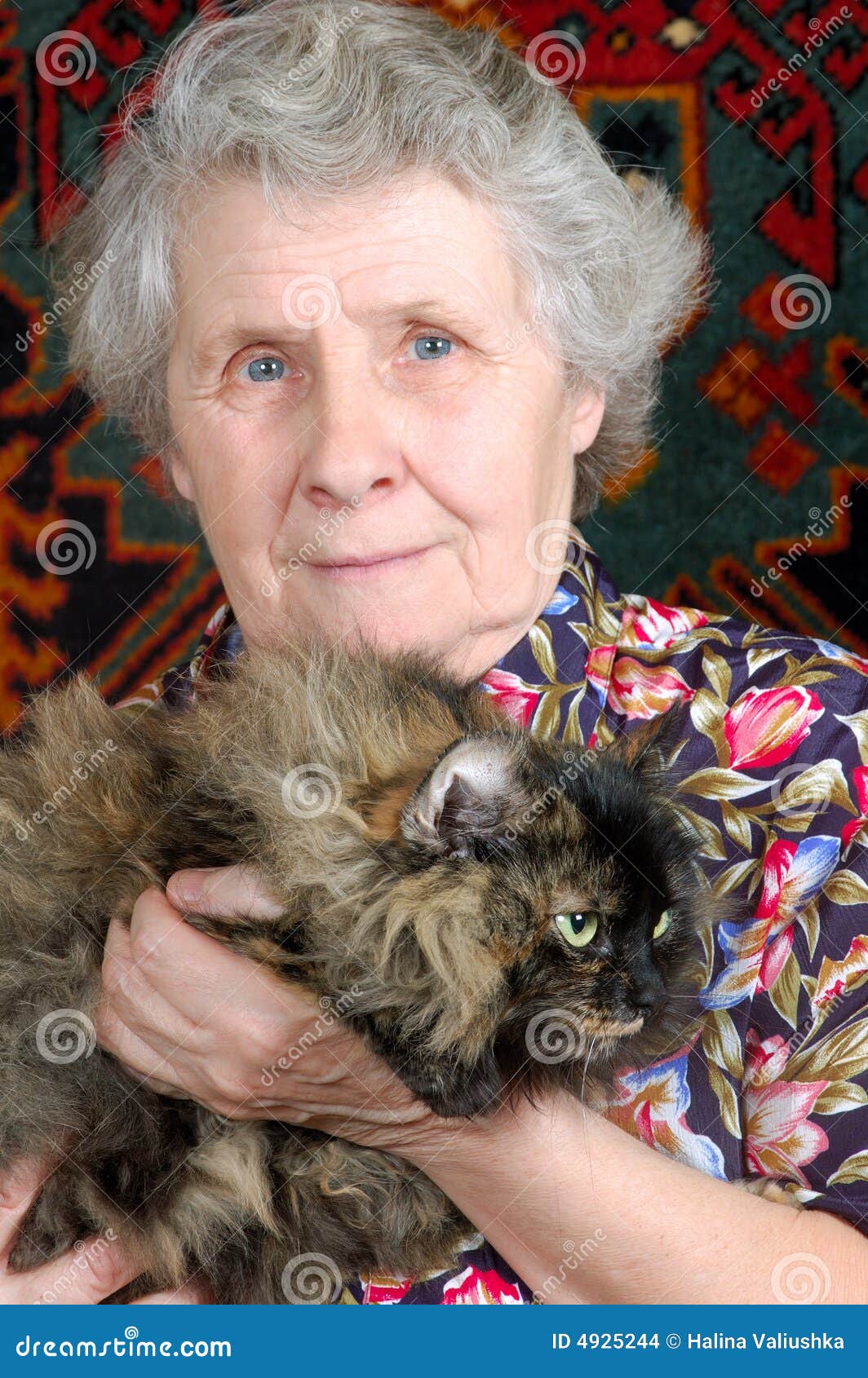 De Zitting Van De Grootmoeder Met Kat Op Haar Handen Stock Foto - Image ...