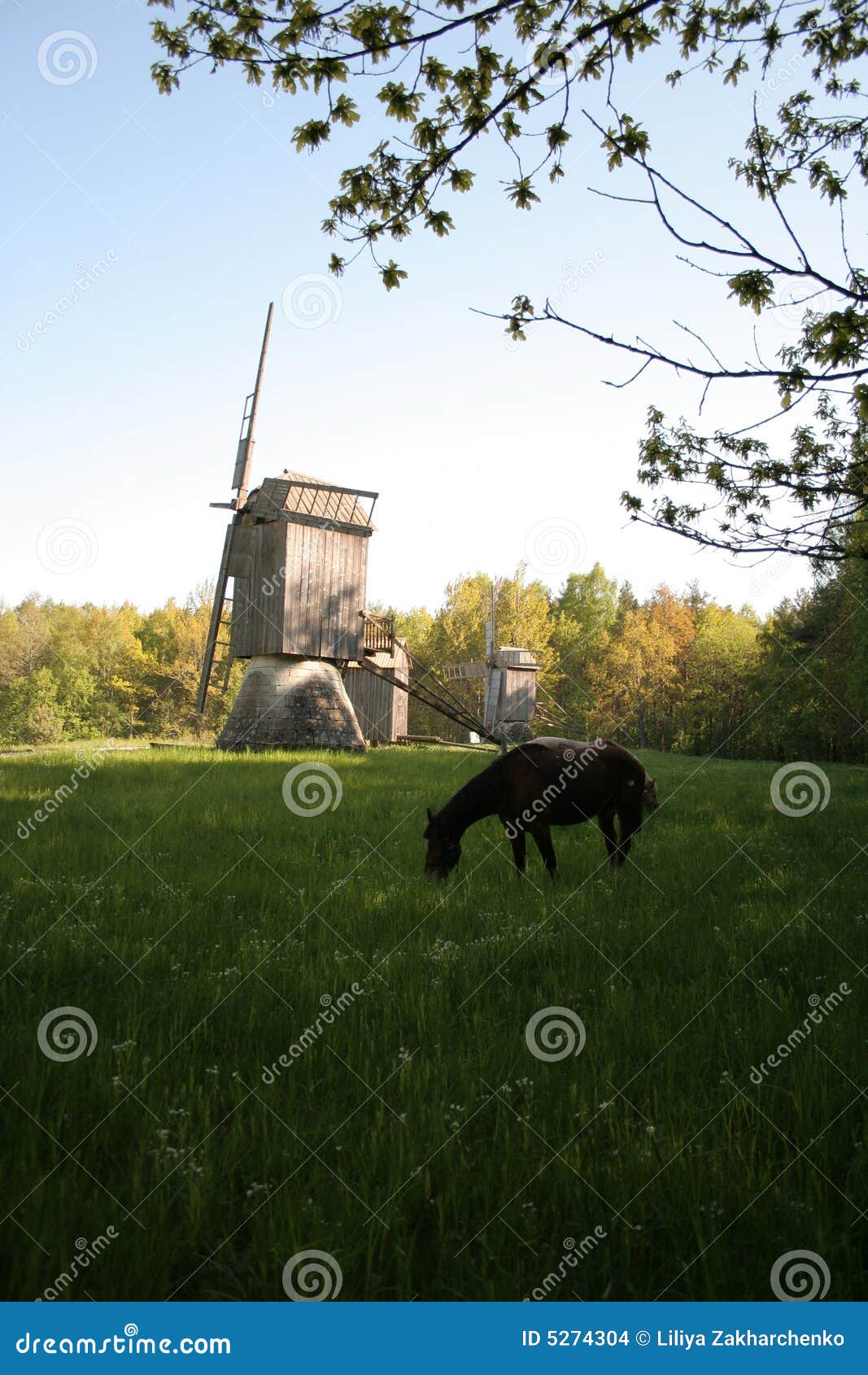 De zomer in een dorp stock foto. Image of schaduwen, zonne - 5274304