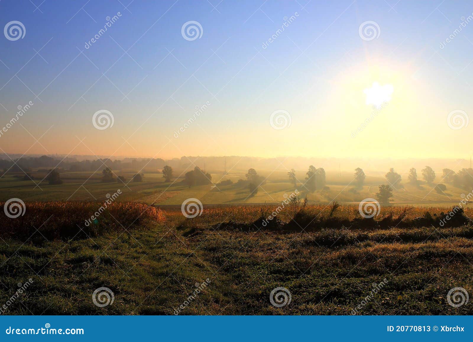 De Zon En De Nevel Van De Ochtend Stock Afbeelding - Image of landschap ...