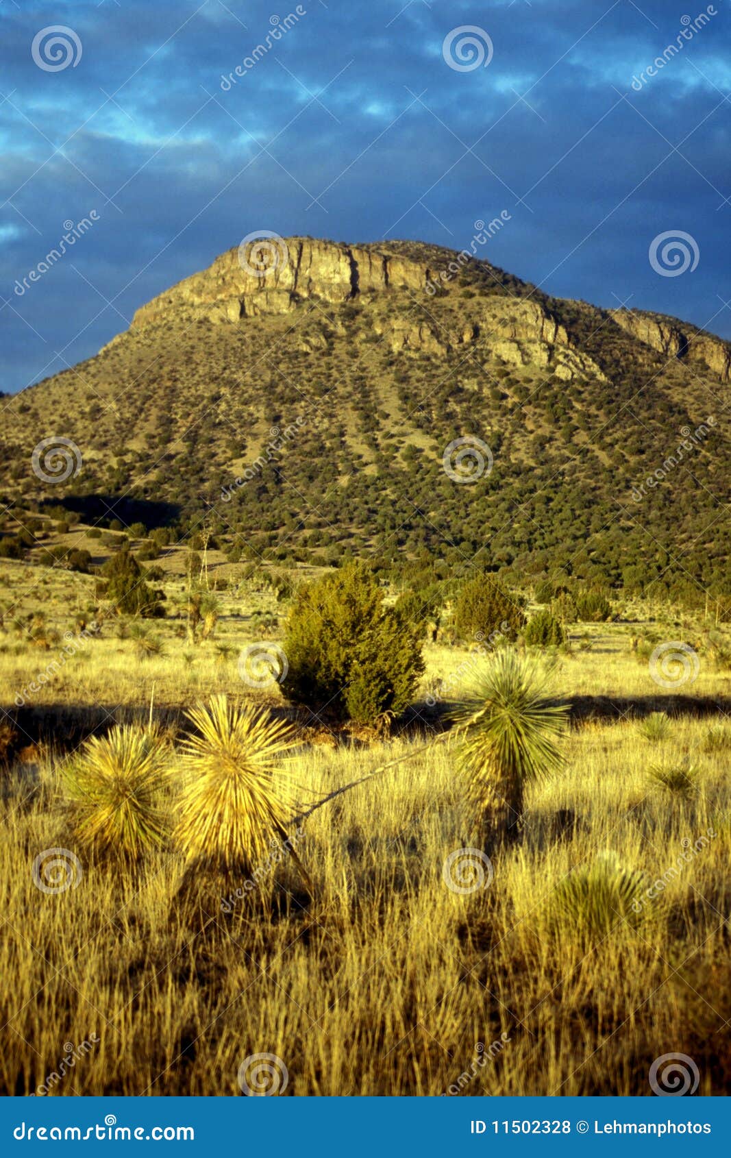 De Zon Van De Ochtend Op De Berg Van De Woestijn Stock Foto - Image of ...