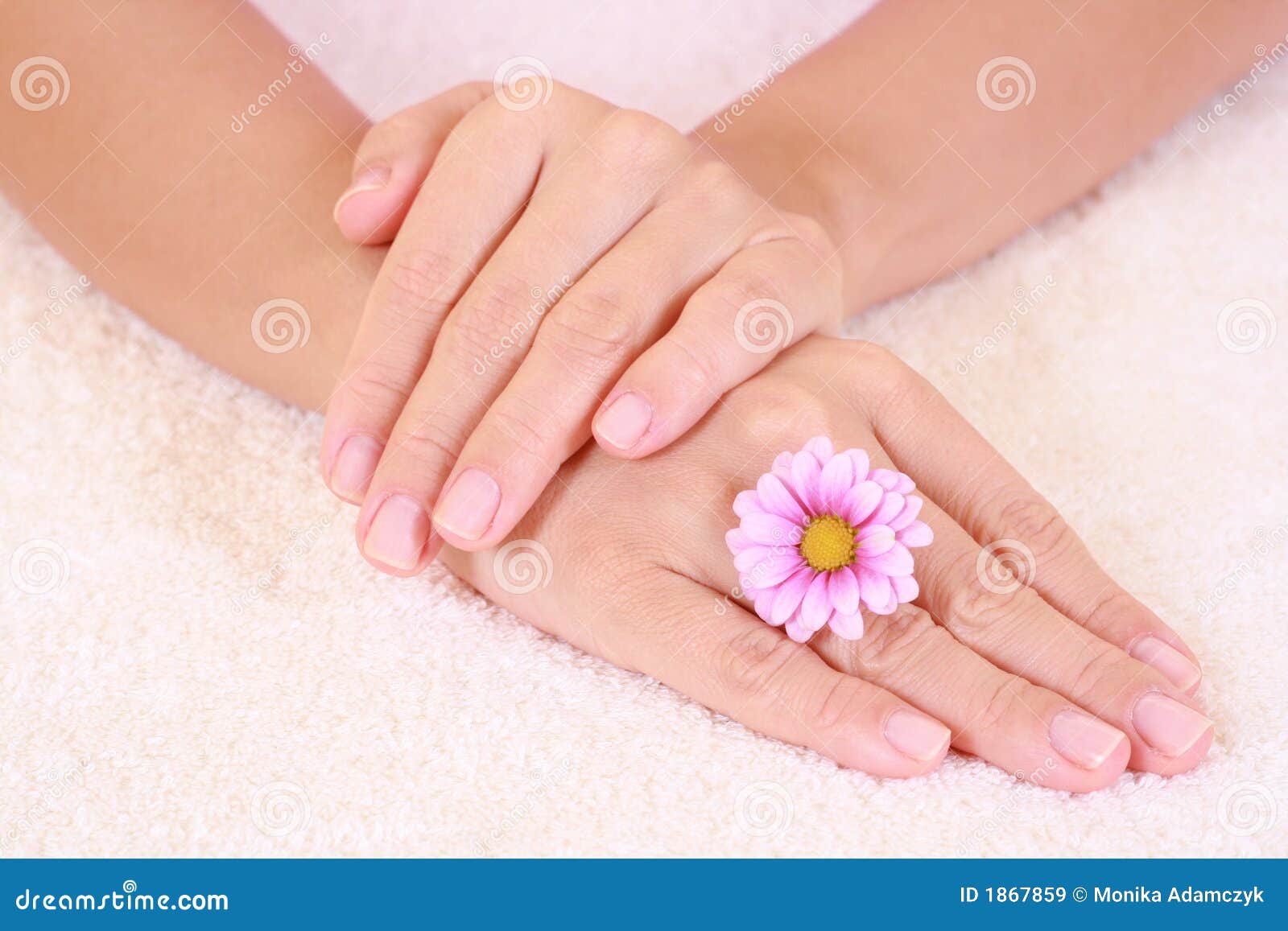 De zorg van handen stock afbeelding. Image of vinger, behandeling - 1867859