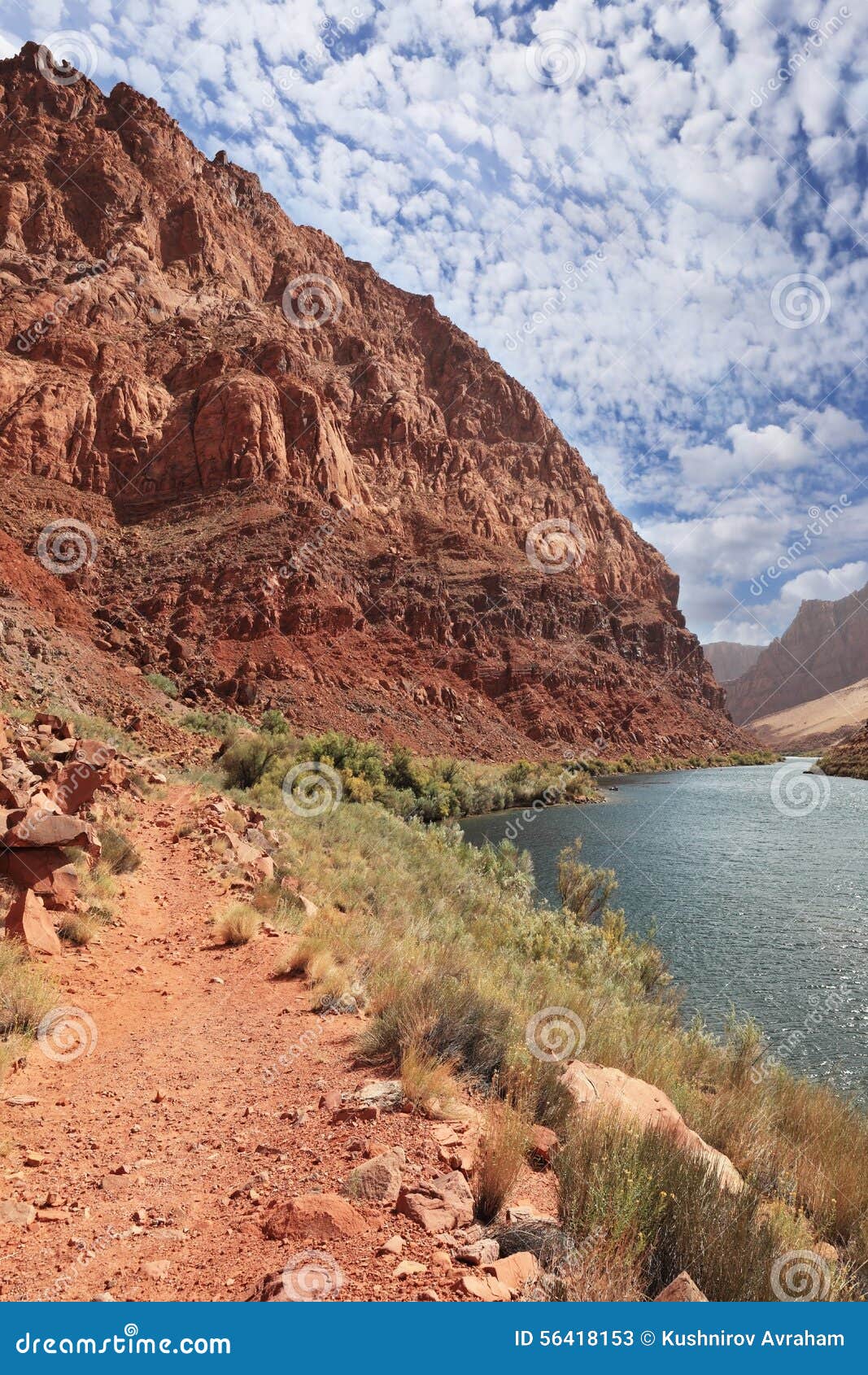 De Zuivere Rivier Van Colorado Stock Afbeelding - Image of buiten ...