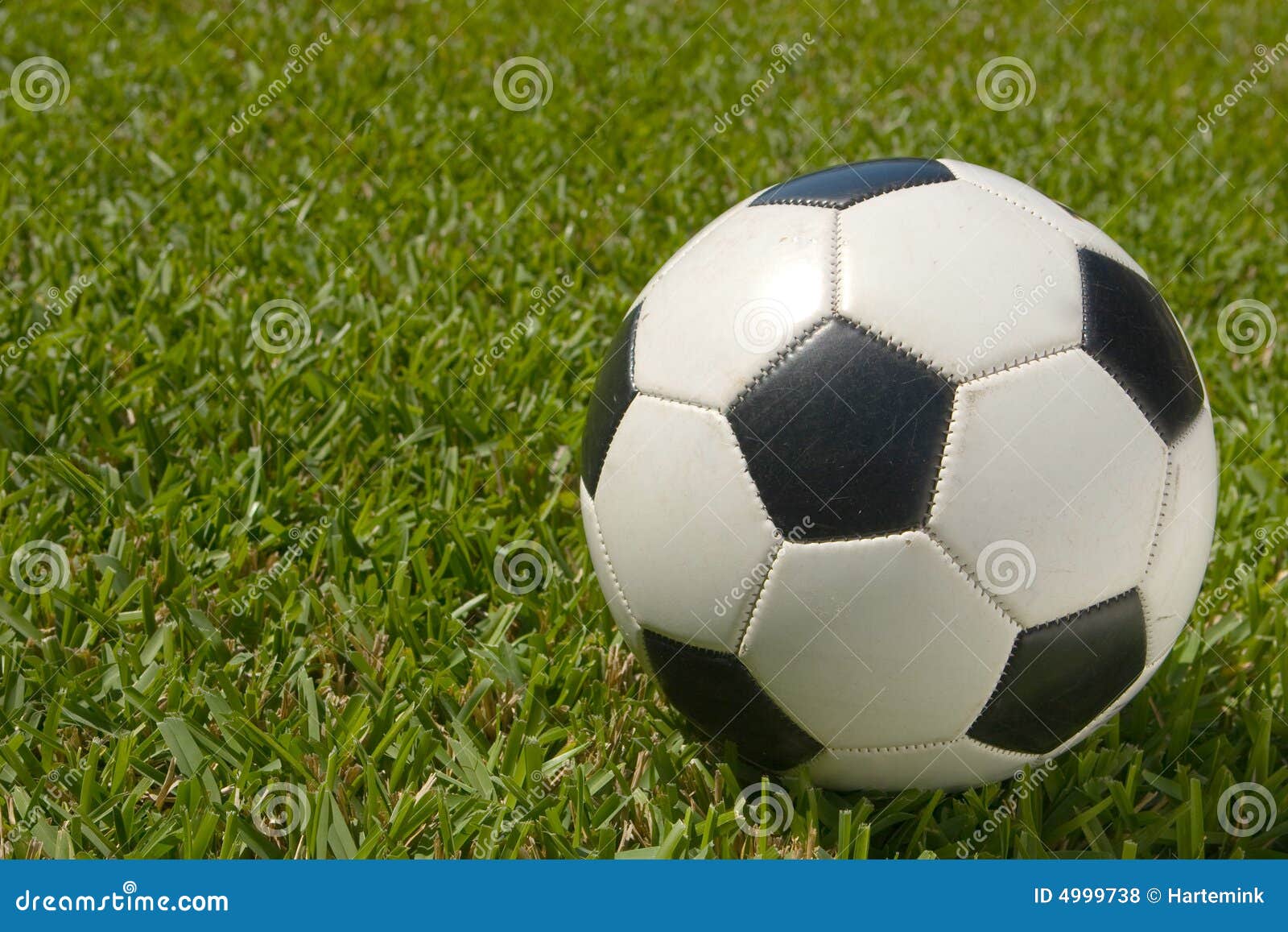 De Zwart-witte Bal Van Het Voetbal Op Gebied Stock Foto - Image of gras ...