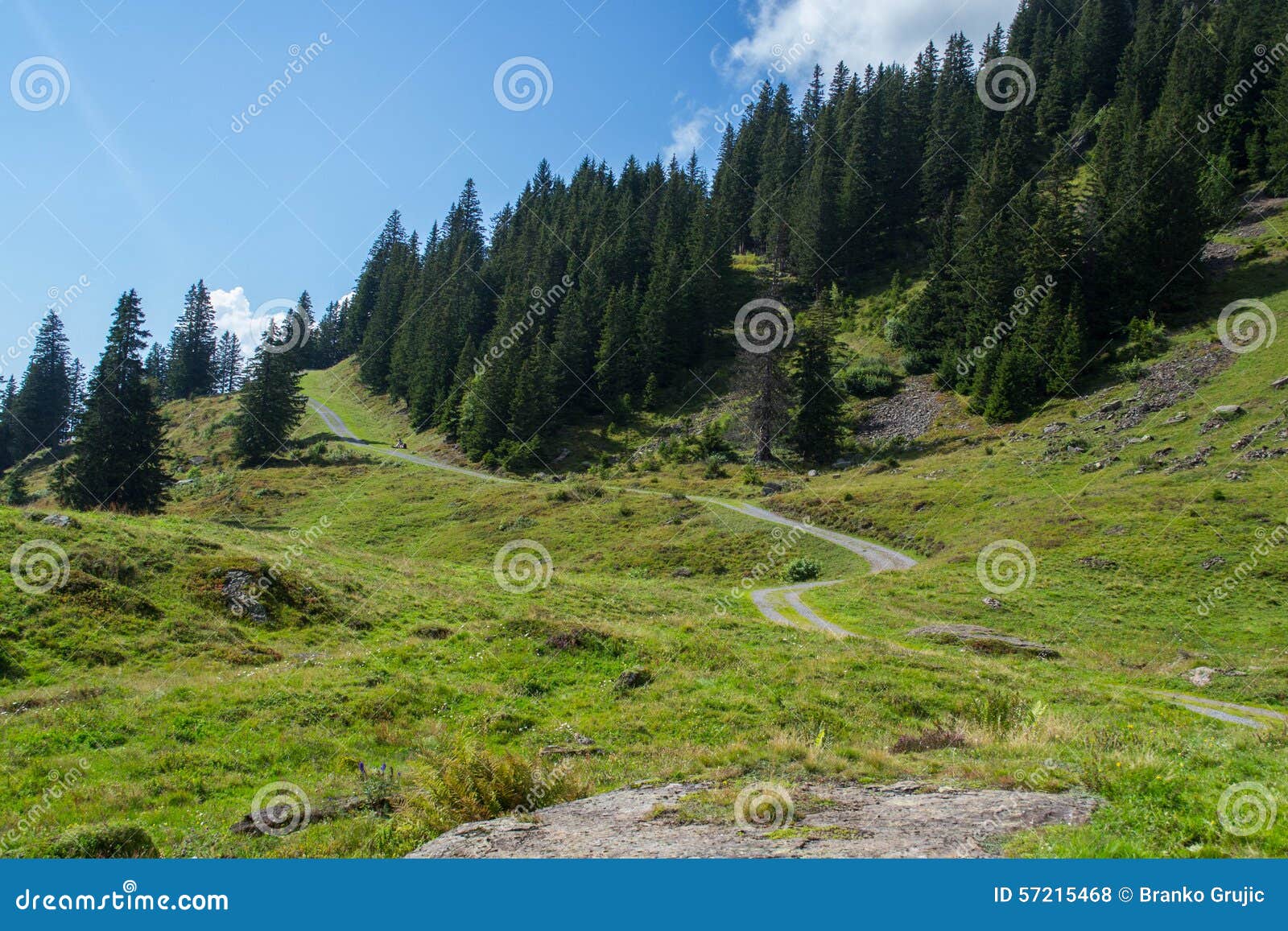 De Zwitserse weg van Alpen stock foto. Image of mooi - 57215468