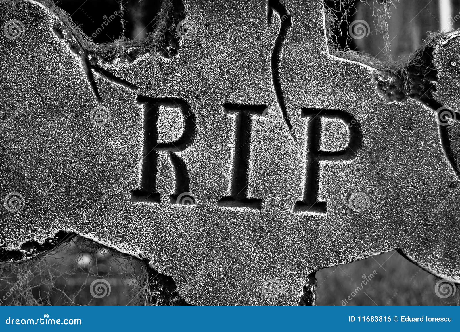 Dead stock photo. Image of cemetery, grave, deceased - 11683816