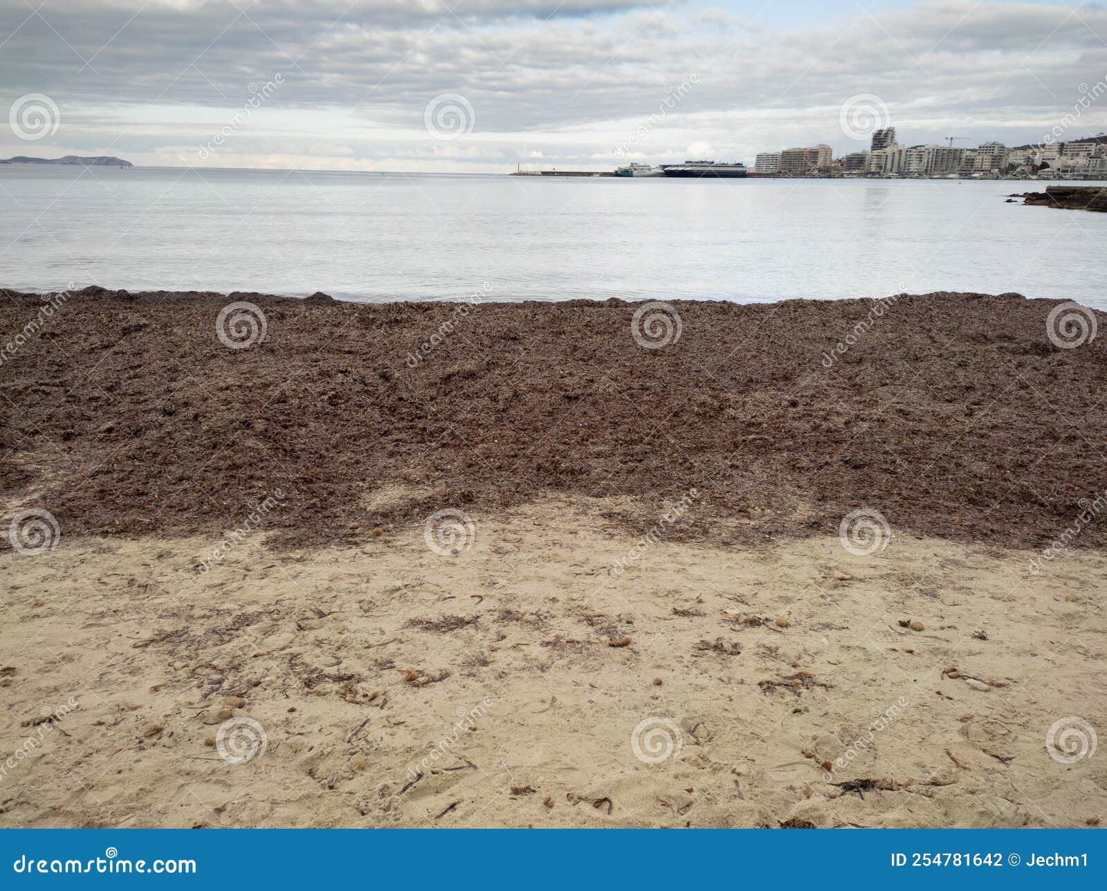 Dead Algae at the End of Summer on an Island in the Mediterranean Sea ...
