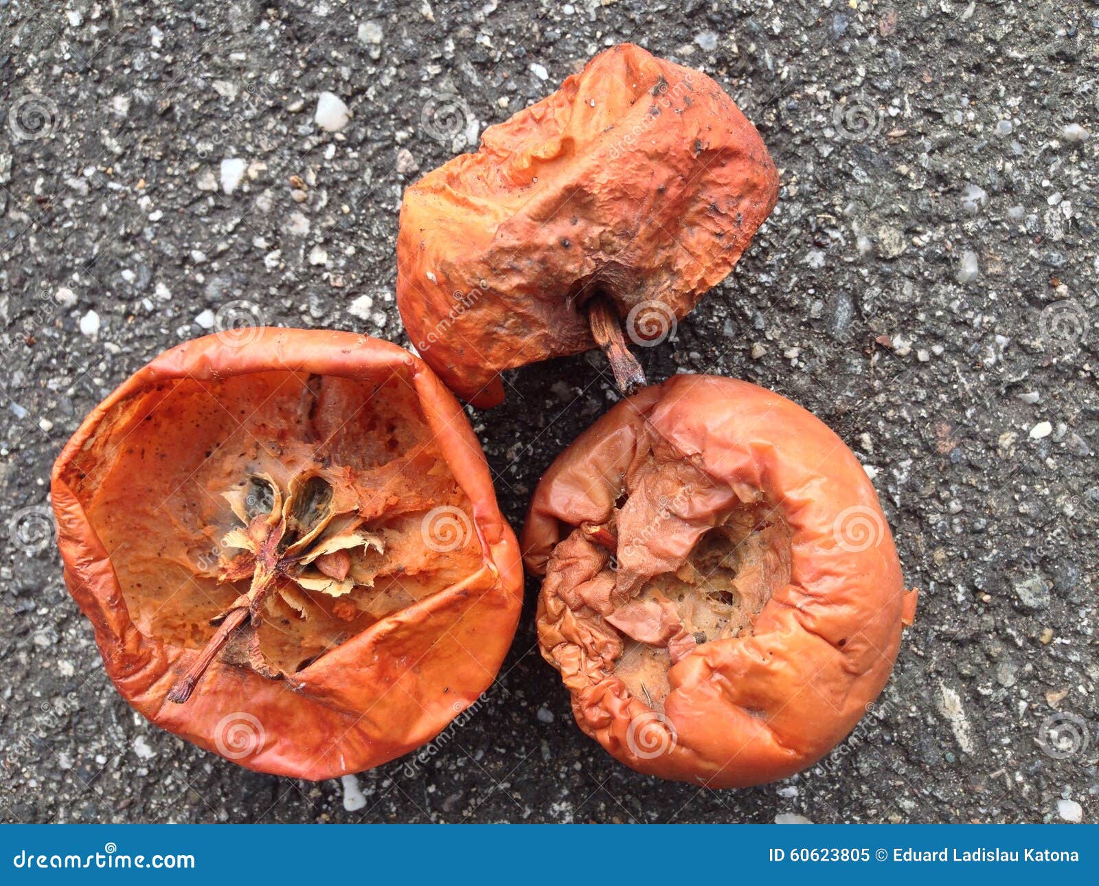 Dead Apples stock image. Image of life, decay, still - 60623805