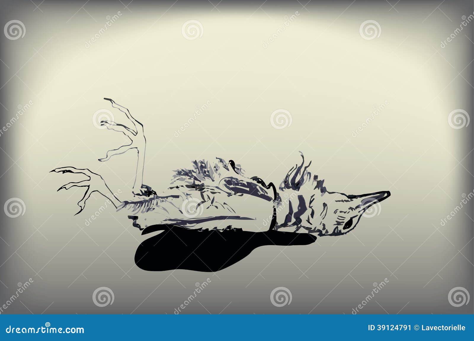 Dead bird stock illustration. Illustration of black, ornithology - 39124791