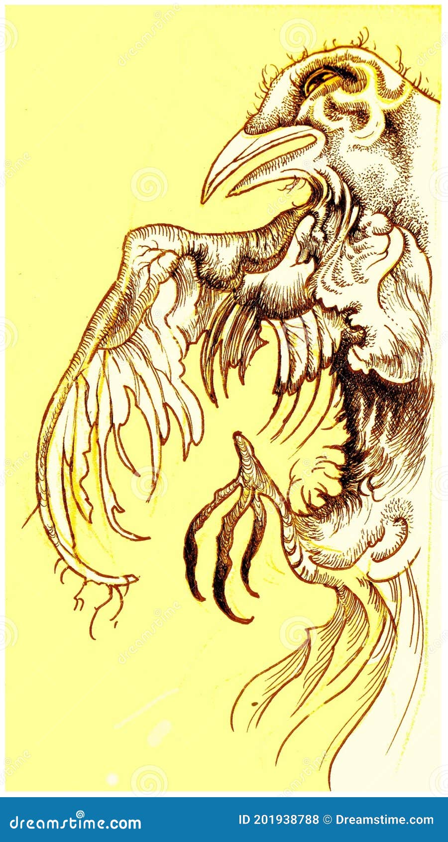 Dead Bird stock illustration. Illustration of drawing - 201938788