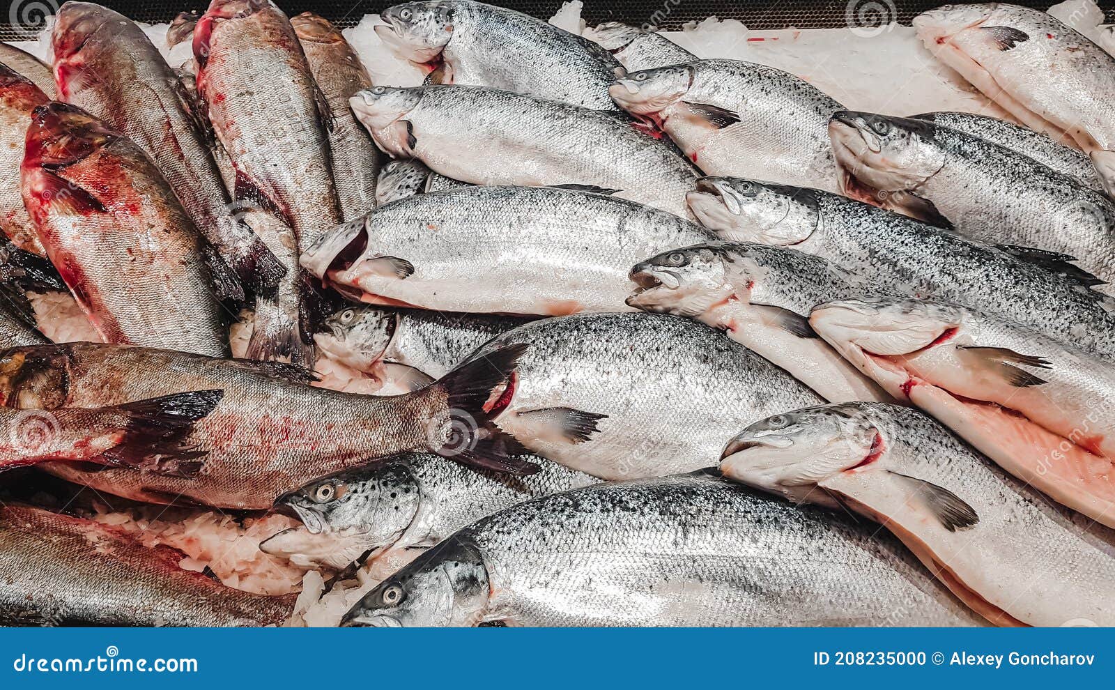 Dead Bloody Fish Sold at the Store Counter Stock Photo - Image of catch ...