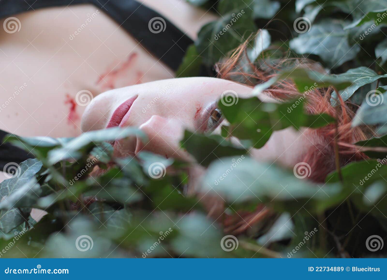 Dead Bloody Woman Portrait stock image. Image of body - 22734889
