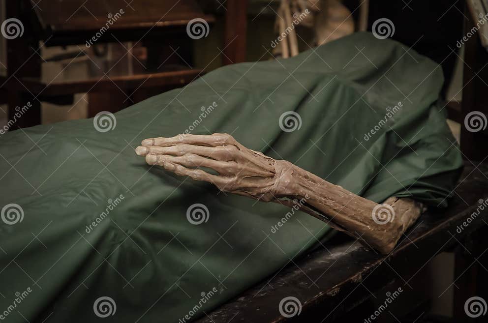 The dead body stock photo. Image of decay, hand, dead - 46224448