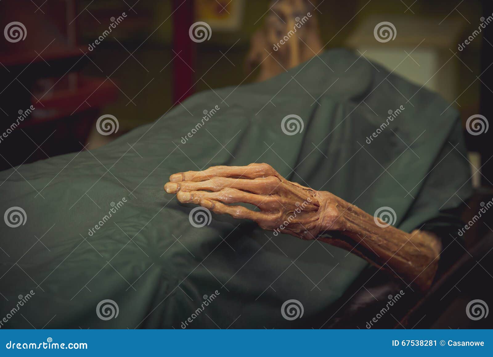 The Dead Body, Focus on Hand Decay Stock Image - Image of male, scared ...