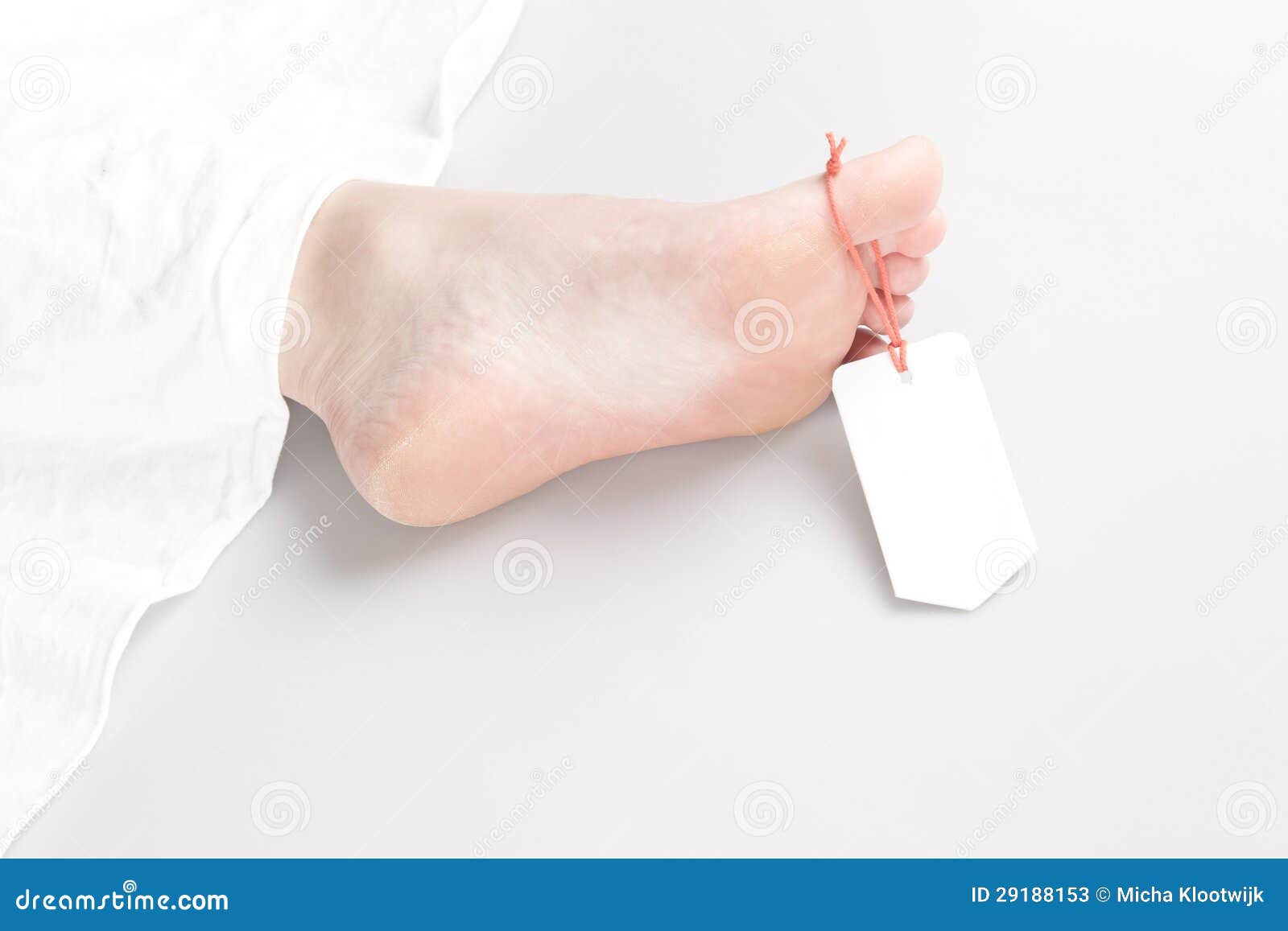 Dead body with toe tag stock image. Image of person, morgue - 29188153