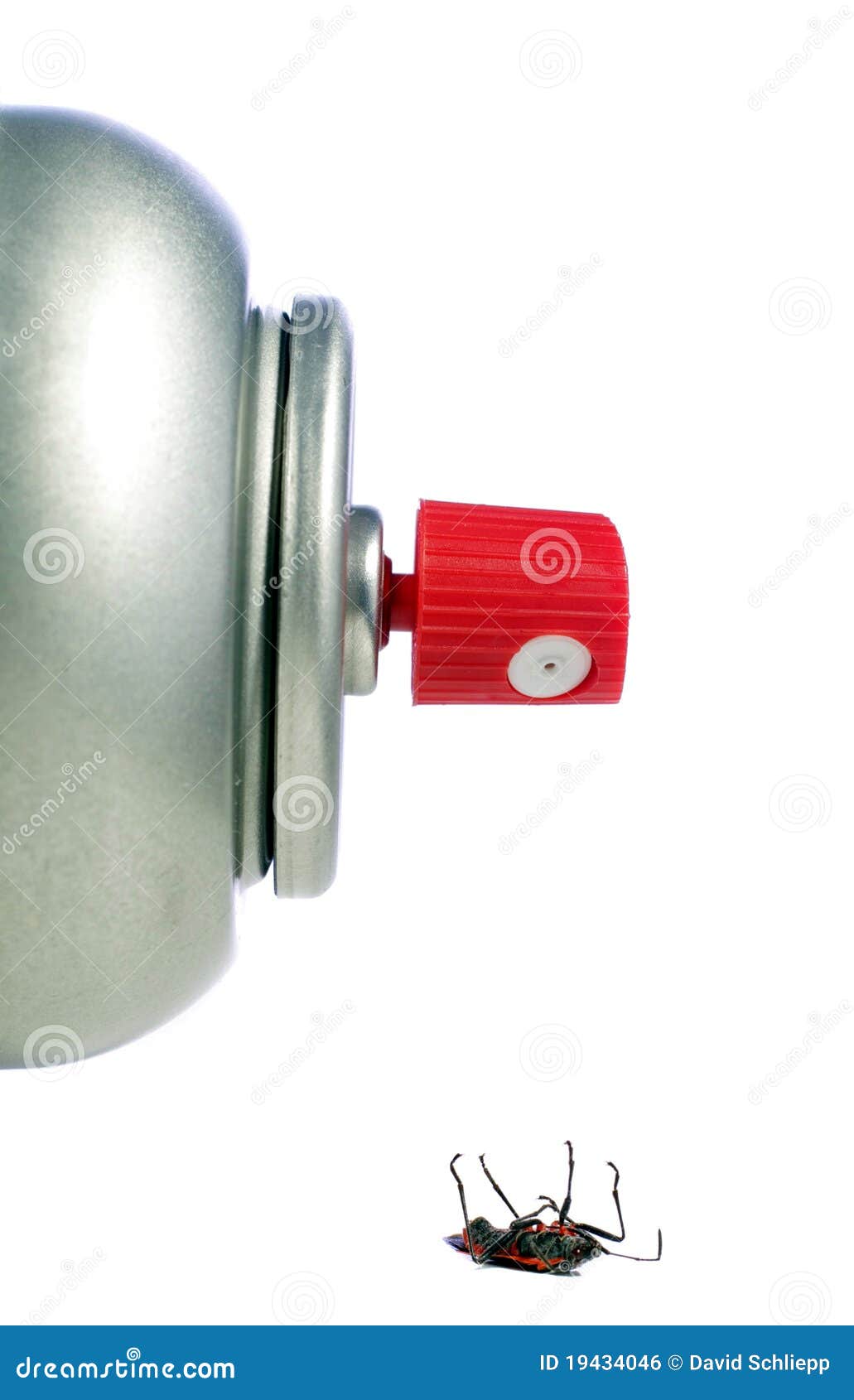 Dead Bug and Spray Can stock photo. Image of killing - 19434046