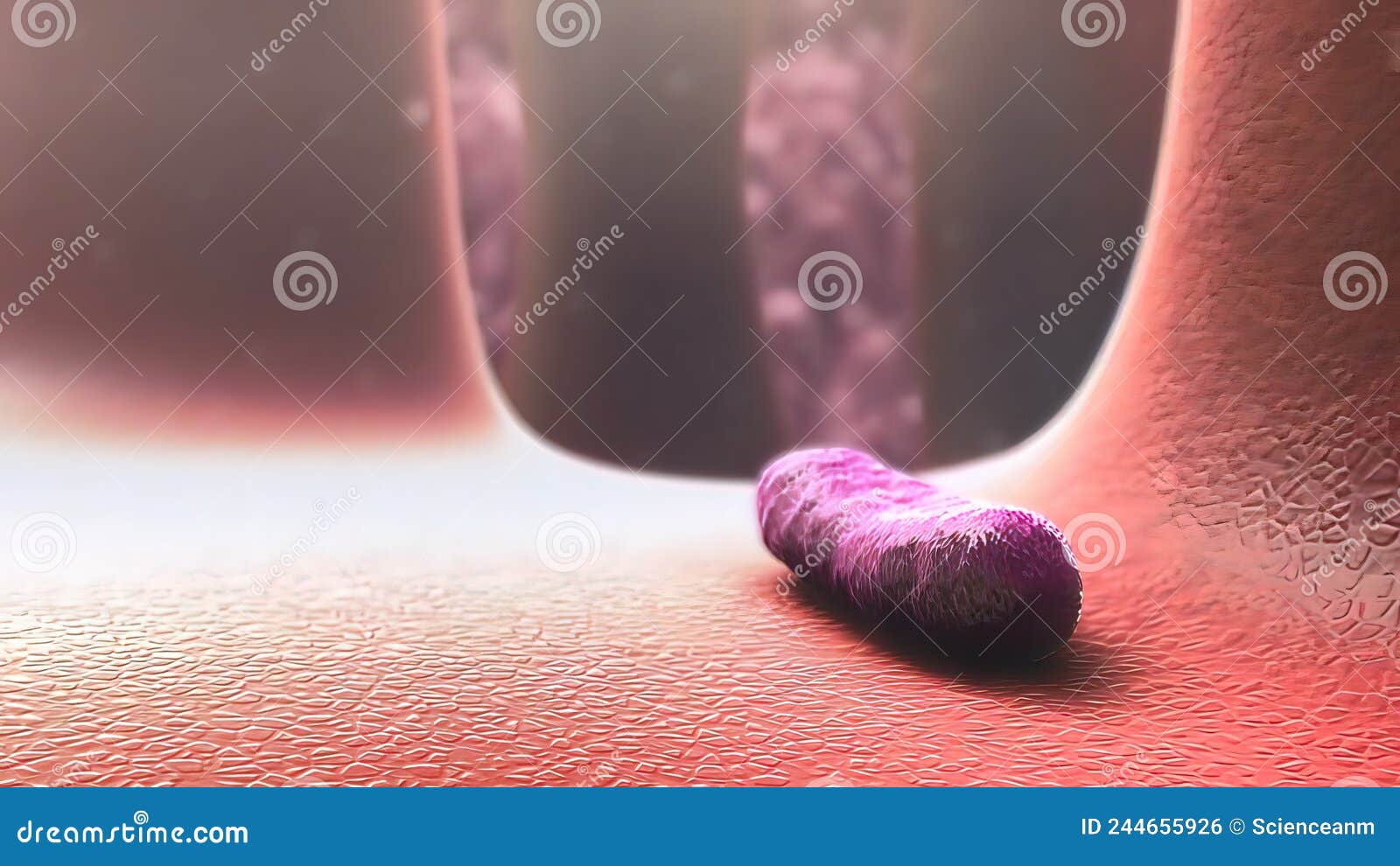 Dead Cells in the Digestive Tract Stock Illustration - Illustration of ...