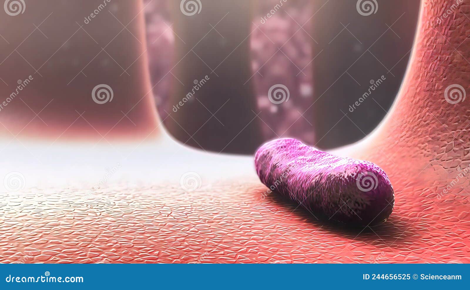 Dead Cells in the Digestive Tract Stock Illustration - Illustration of ...