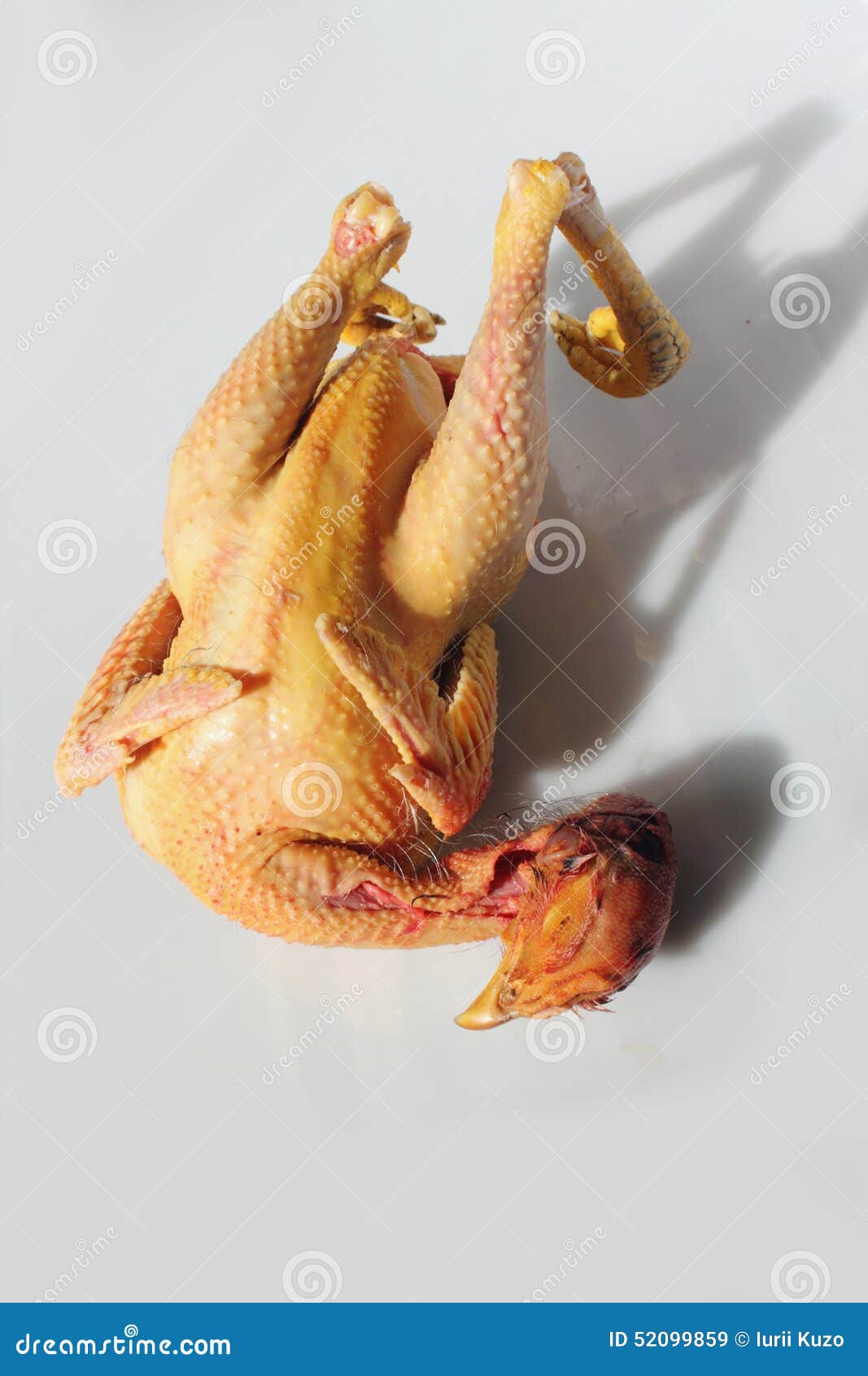 Dead chicken on a board stock image. Image of shot, eating - 52099859
