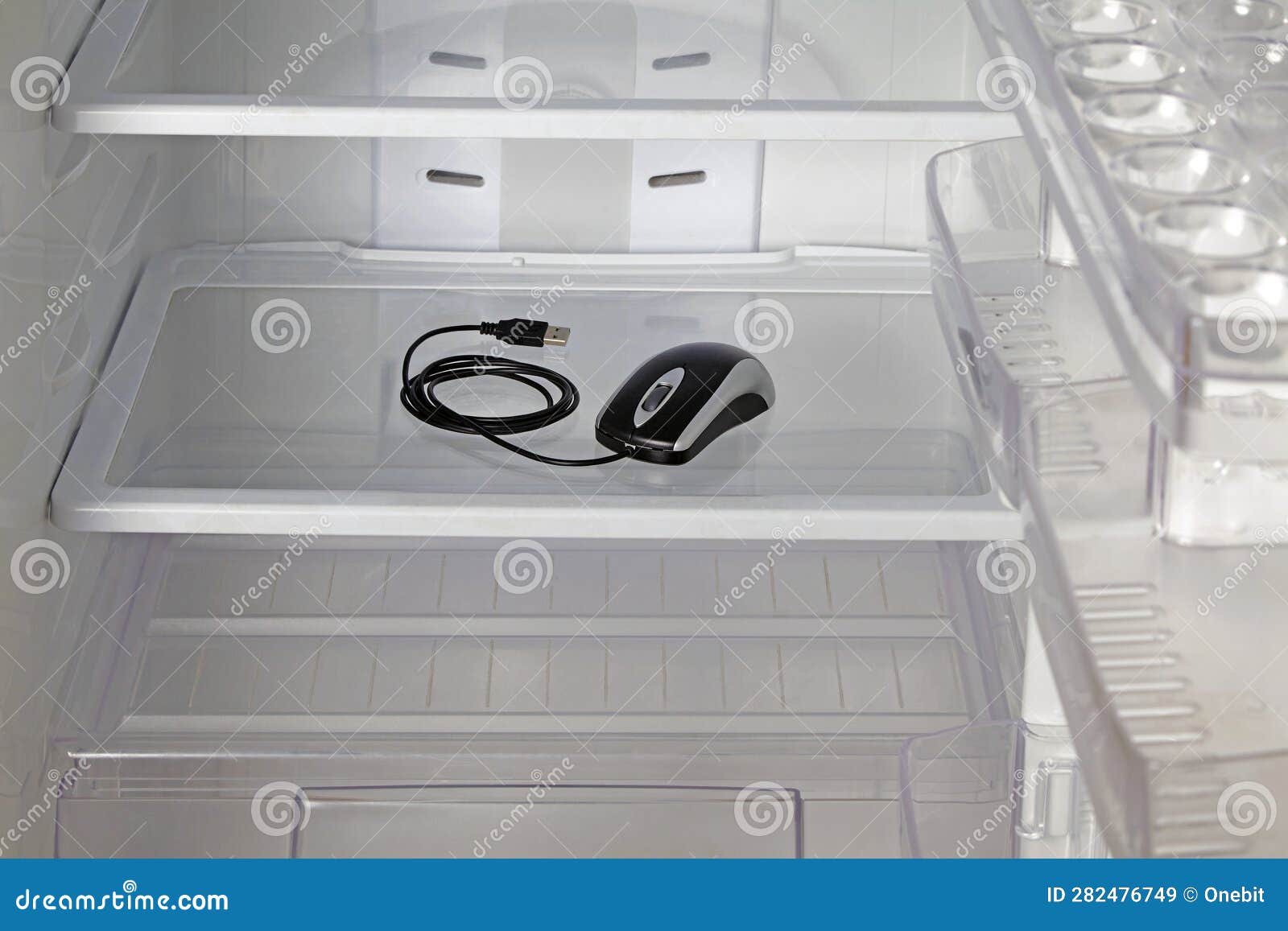 Dead Computer Mouse in an Empty Refrigerator. Poverty and Lack of Food ...