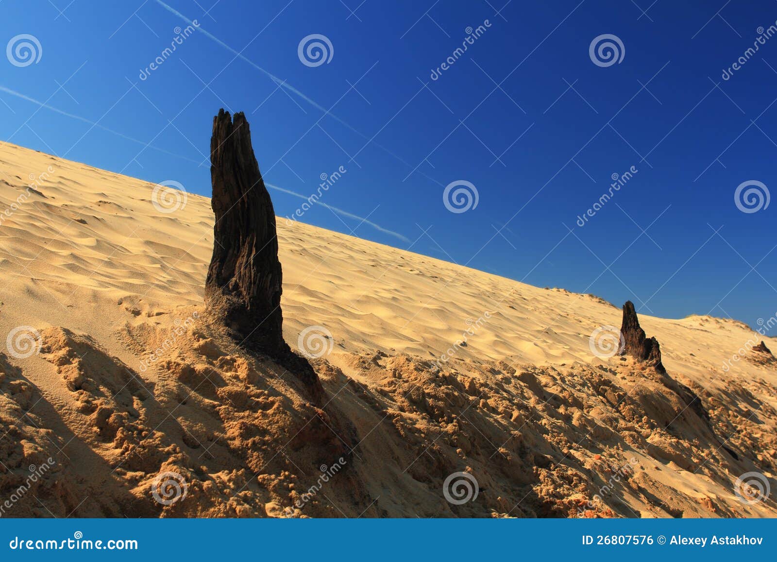 Dead desert stock photo. Image of diagonal, orange, environment - 26807576