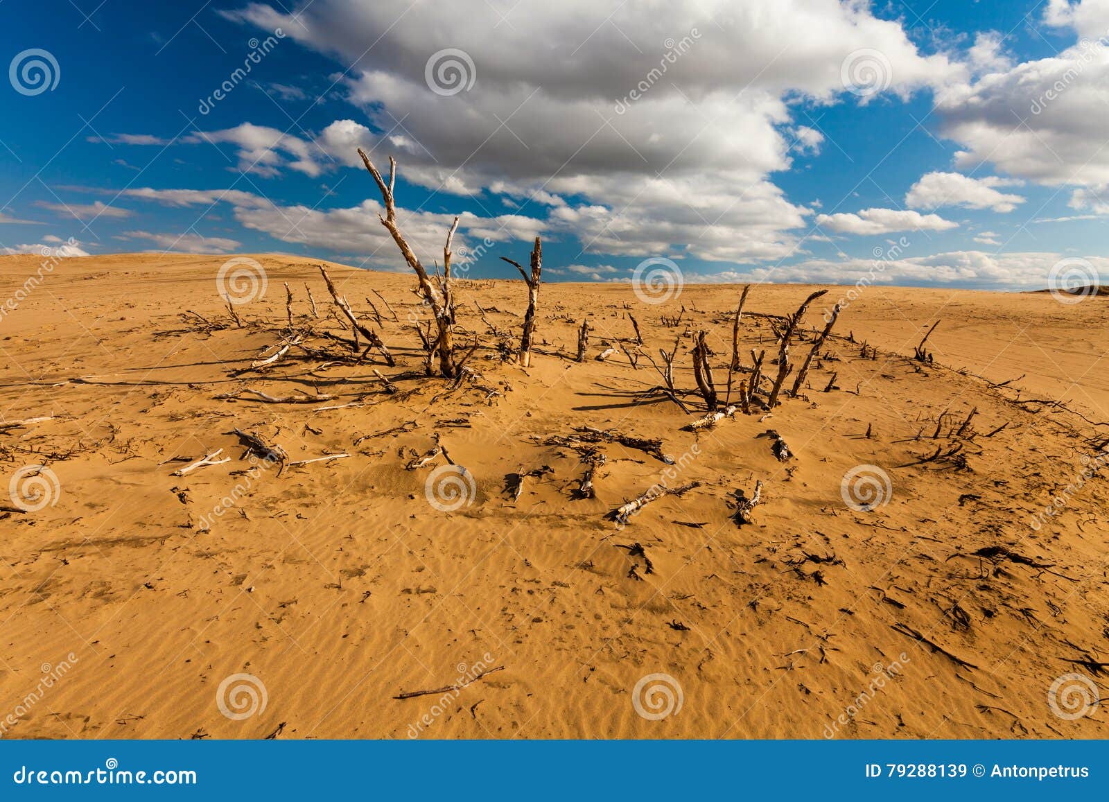 Dead Desert Landscape. Gobi Desert Stock Image - Image of mongolia ...