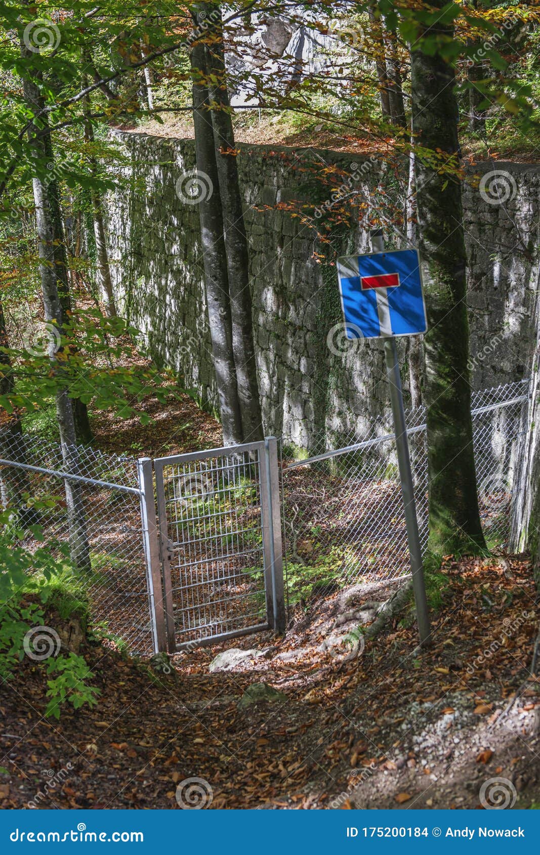 Dead End in the Forest at the Fence Stock Photo - Image of access ...