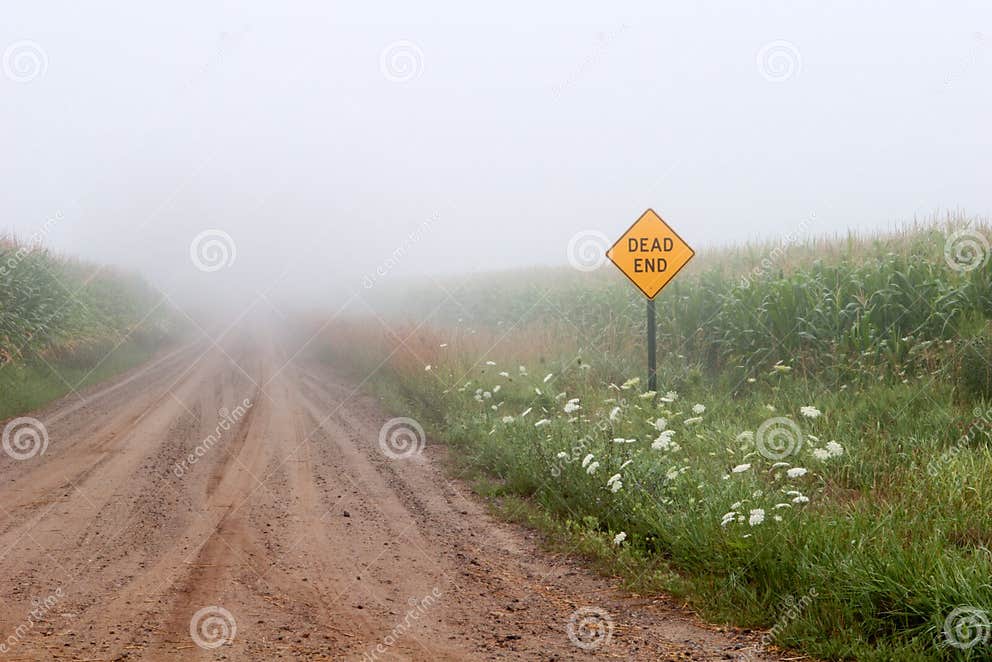 Dead End Road stock image. Image of grey, track, green - 2114451