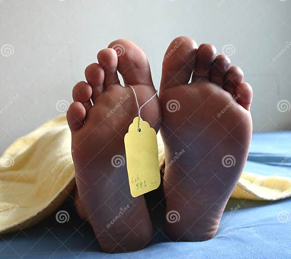Dead feet stock photo. Image of sick, feet, dead, autopsy - 597400