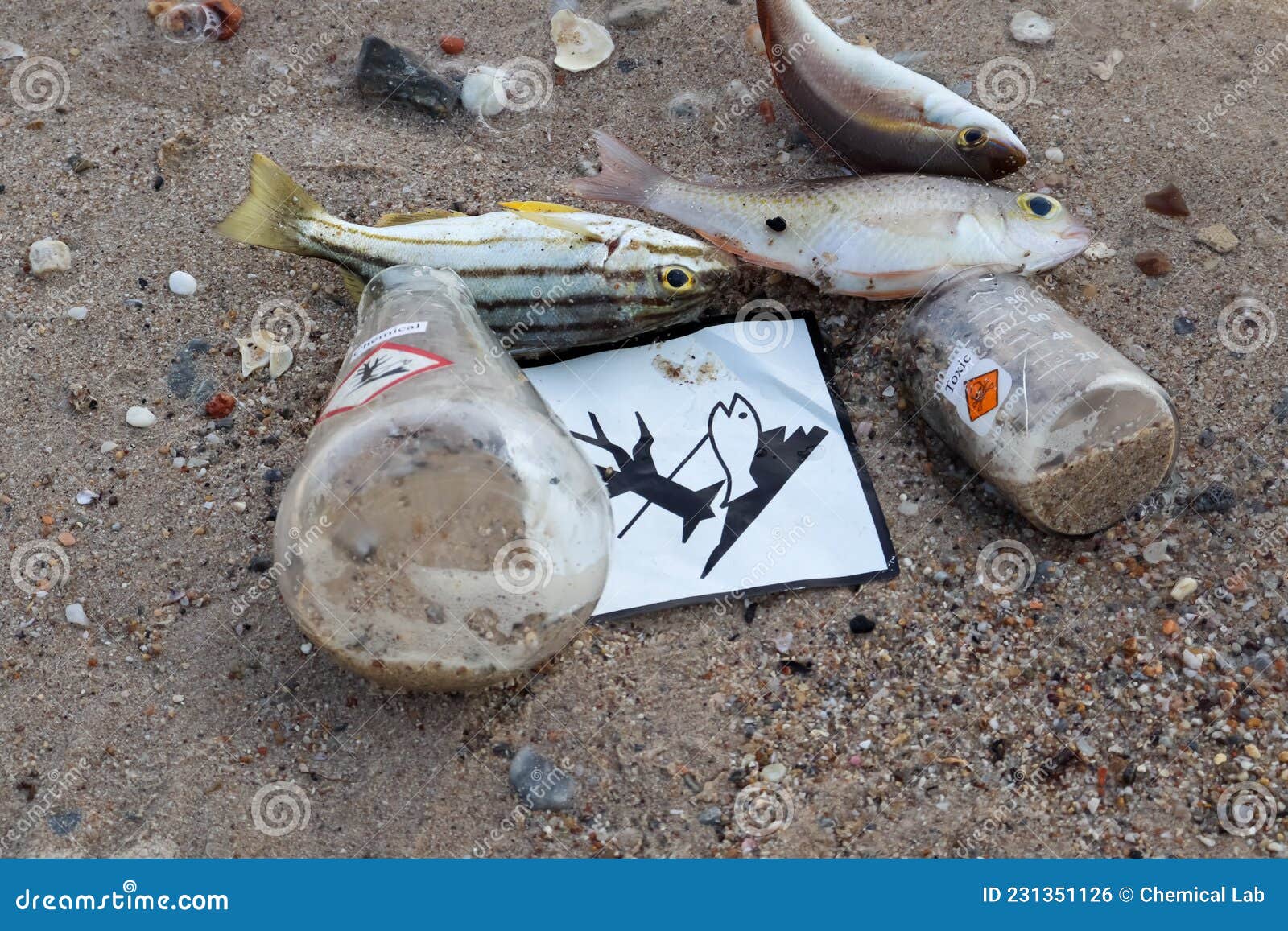 Dead Fish by Dangerous Chemicals Stock Photo - Image of factory ...