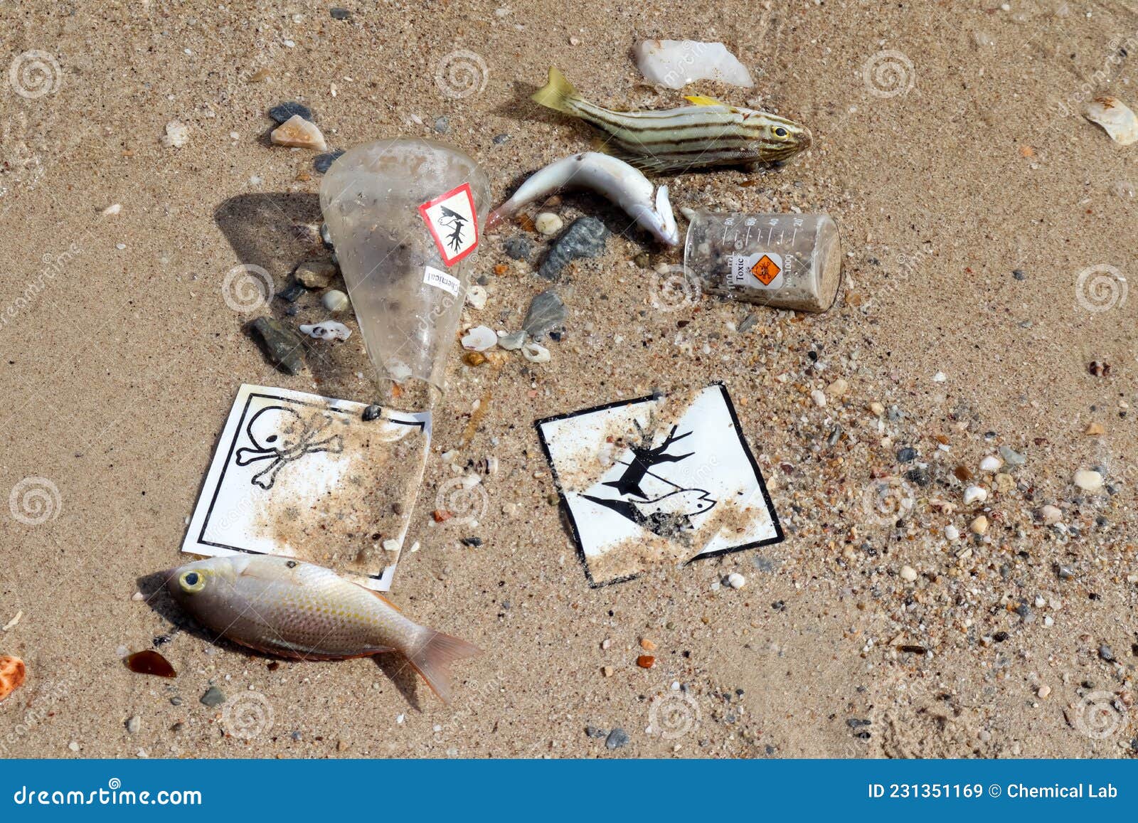 Dead Fish by Dangerous Chemicals Stock Image - Image of danger, glass ...