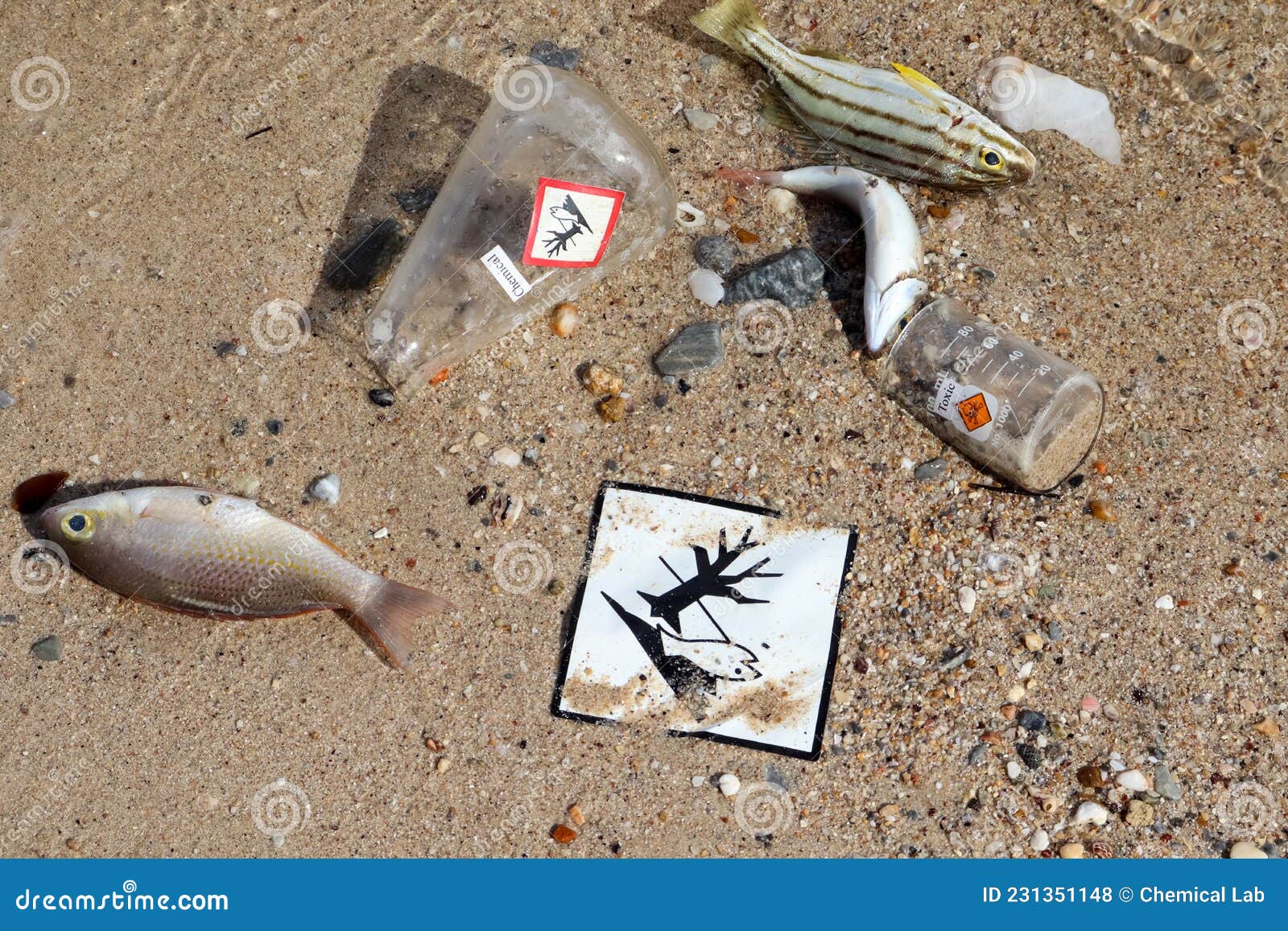 Dead Fish by Dangerous Chemicals Stock Photo - Image of glass, danger ...