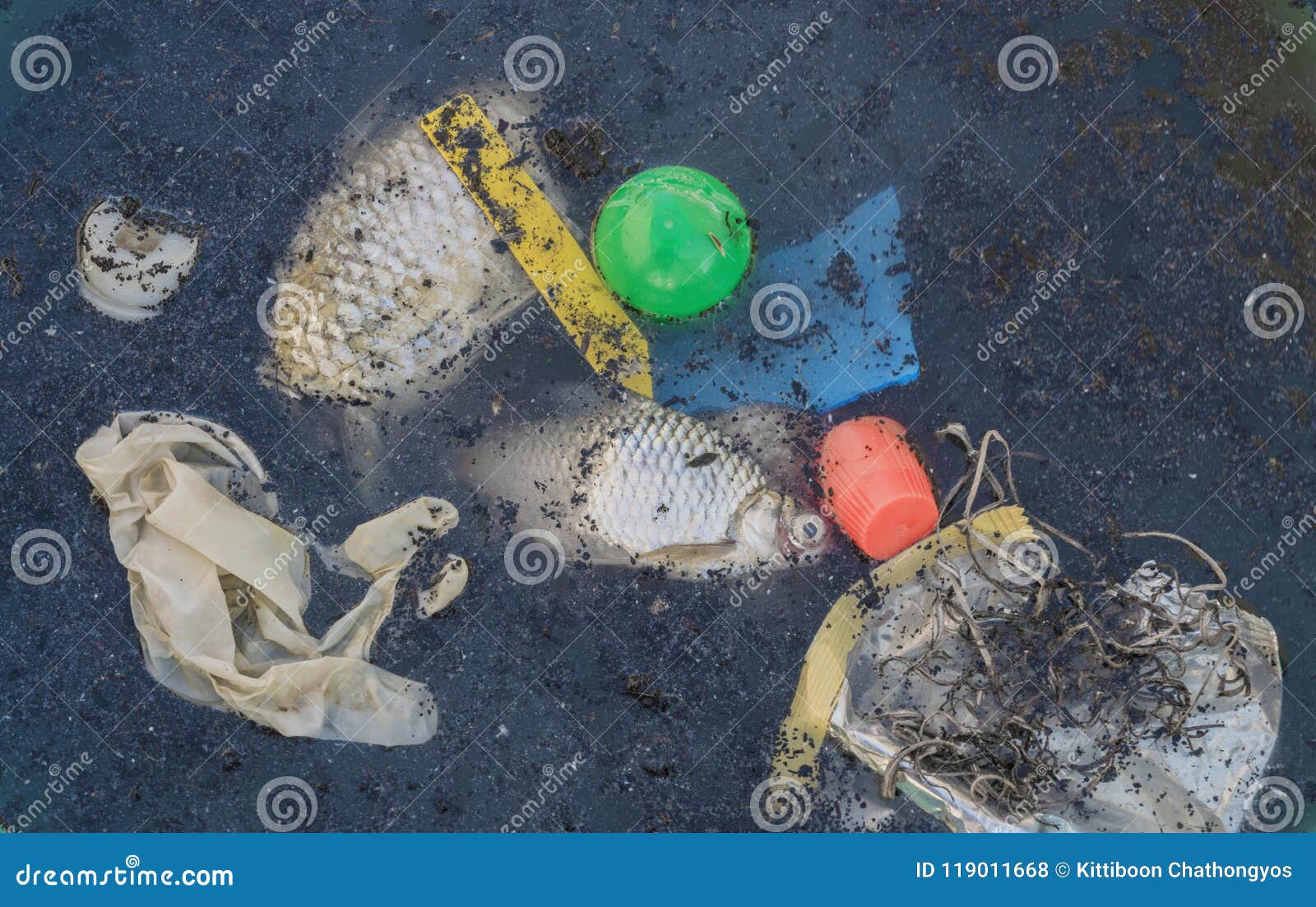 Dead Fish and Garbage in Dirt Dark Water.water Pollution.environment ...