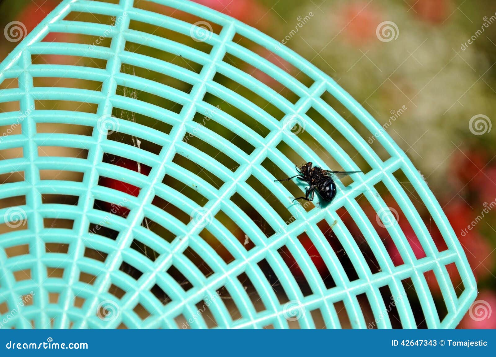 Flyswatter Royalty-Free Stock Image | CartoonDealer.com #15672904